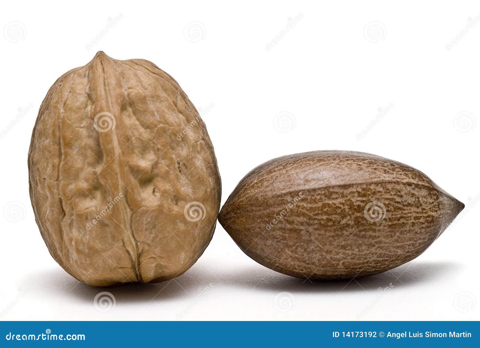 Two different nuts. stock photo. Image of food, farming - 14173192