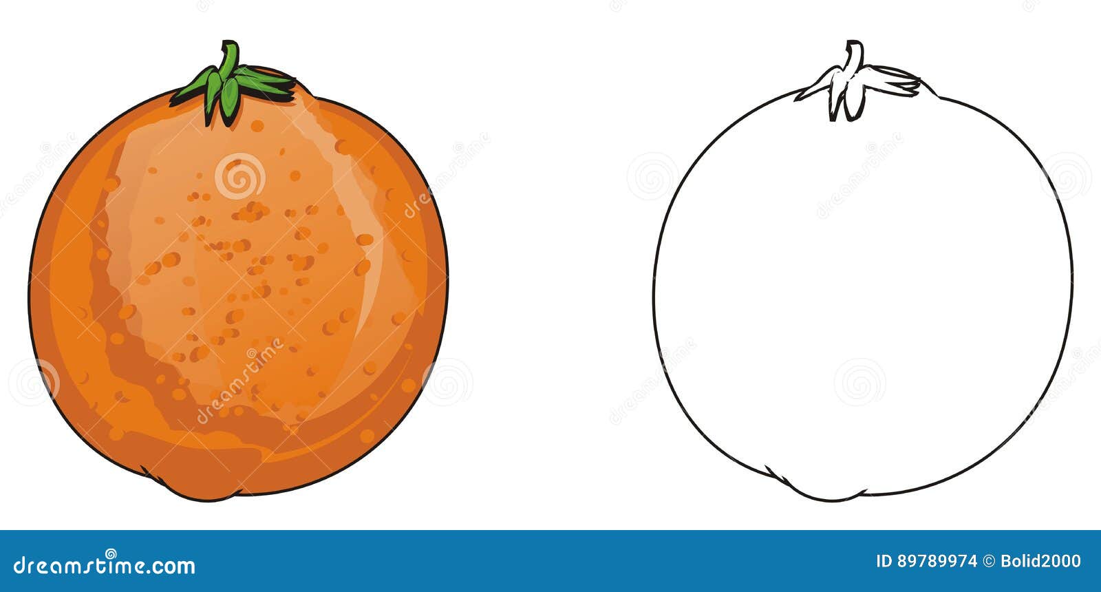 Two different oranges stock illustration. Illustration of line - 89789974