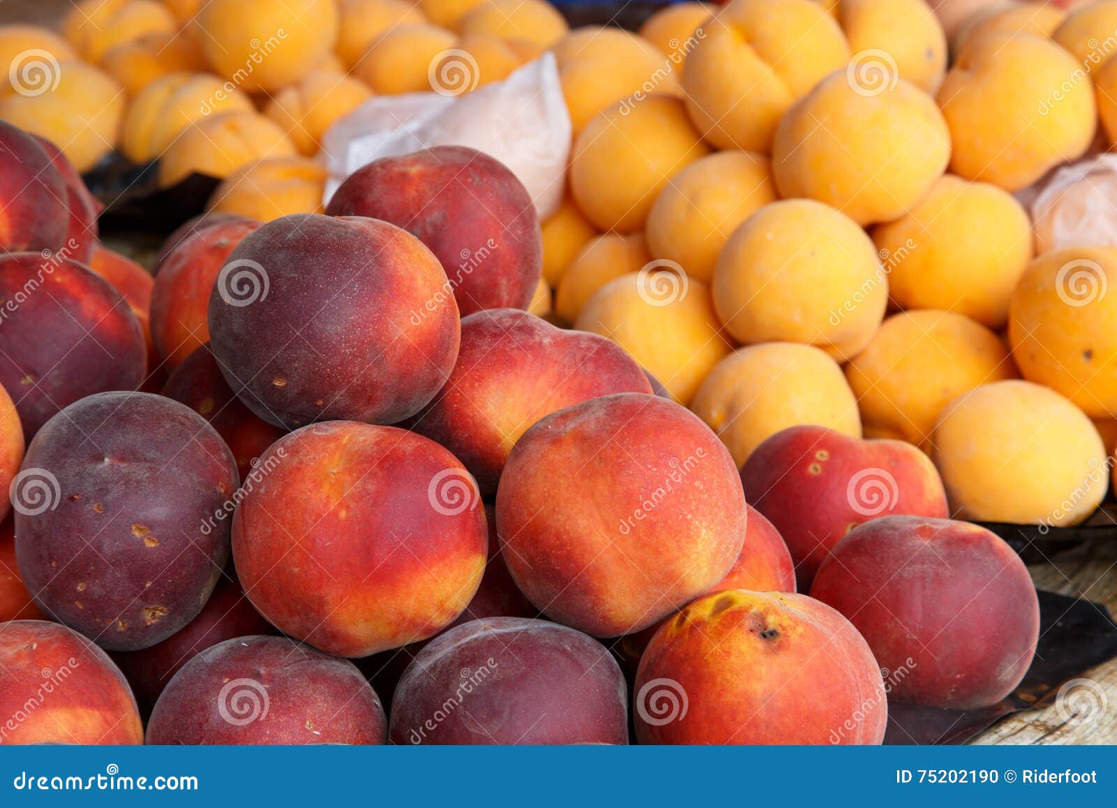 Types Of Peaches