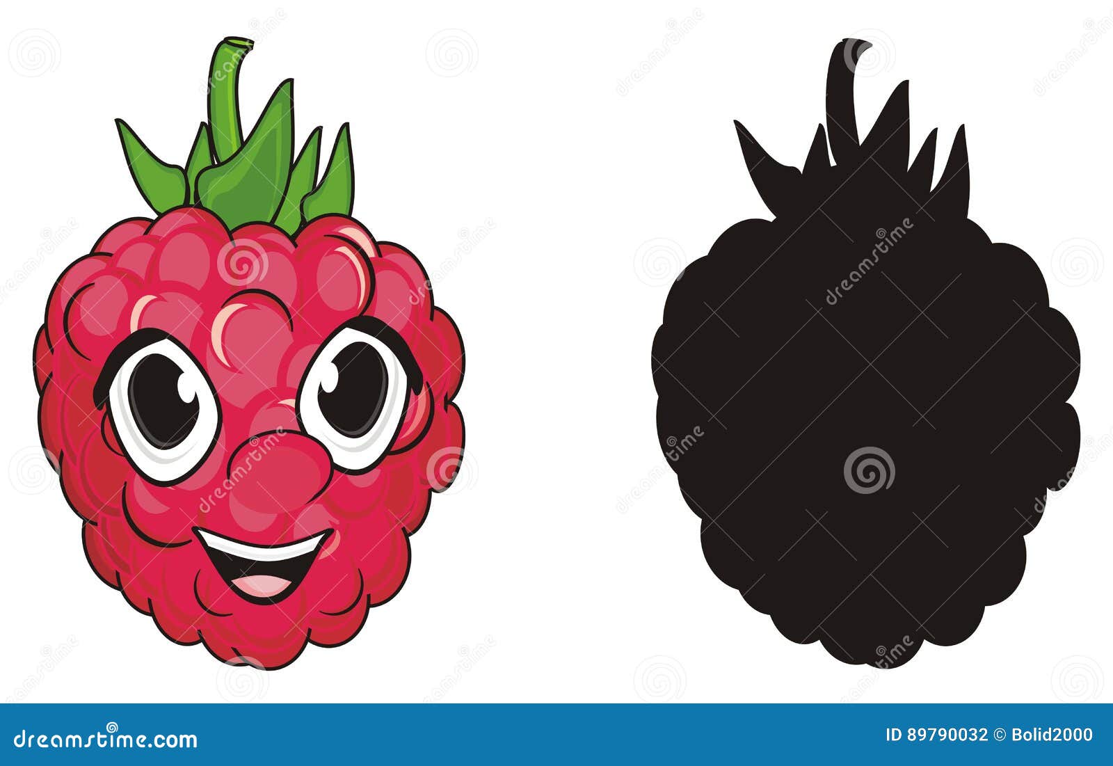 Two different raspberry stock illustration. Illustration of color ...