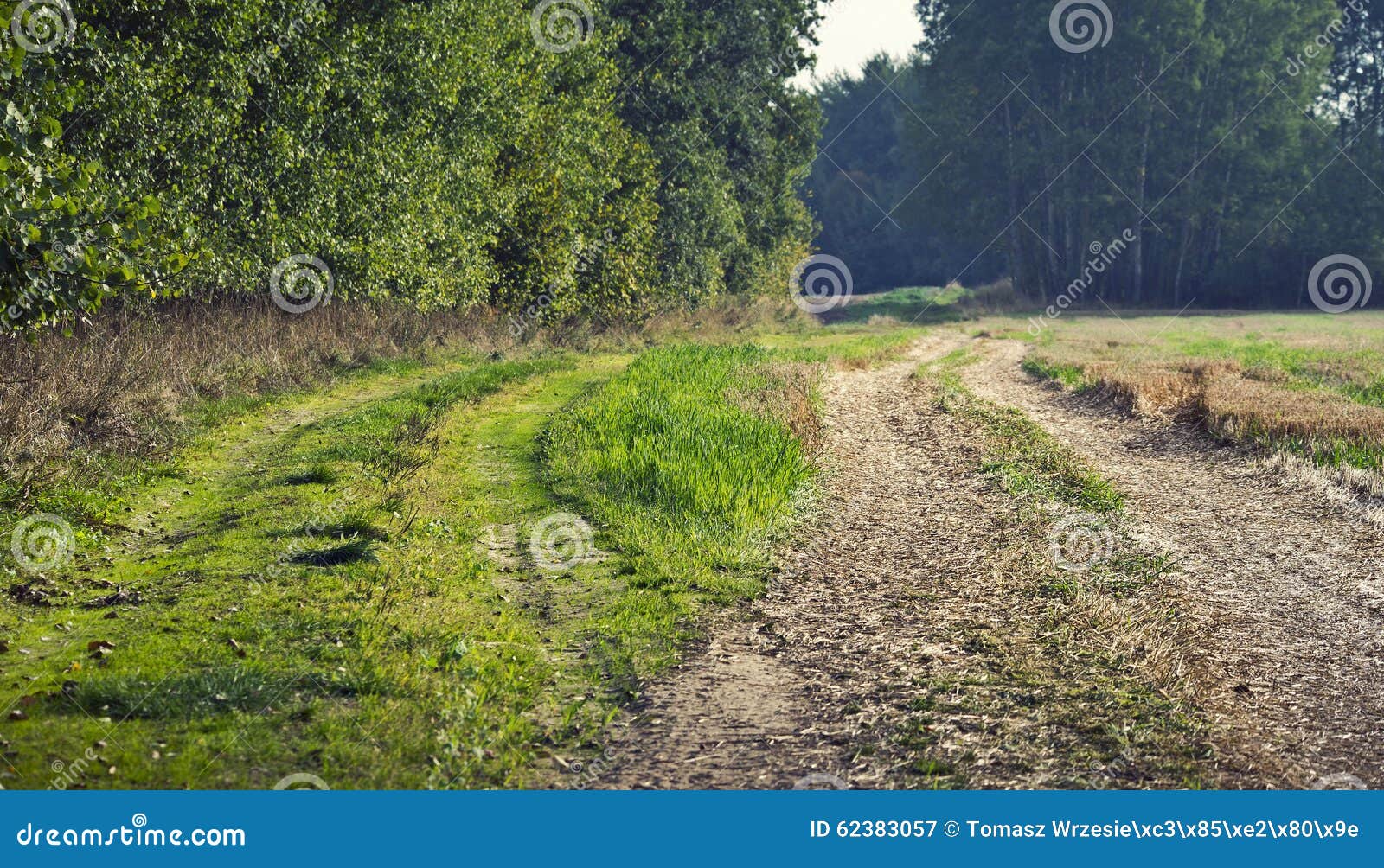 Two different roads stock image. Image of field, nature - 62383057