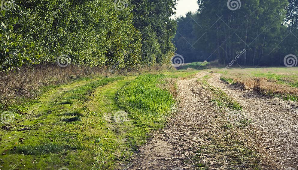 Two different roads stock image. Image of field, nature - 62383057