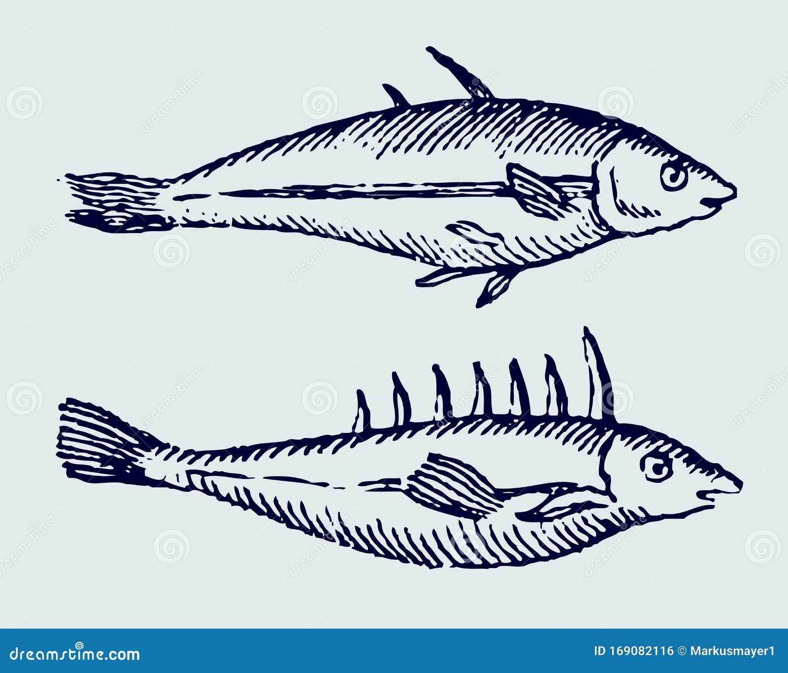 Sticklebacks Cartoons, Illustrations & Vector Stock Images - 15 ...