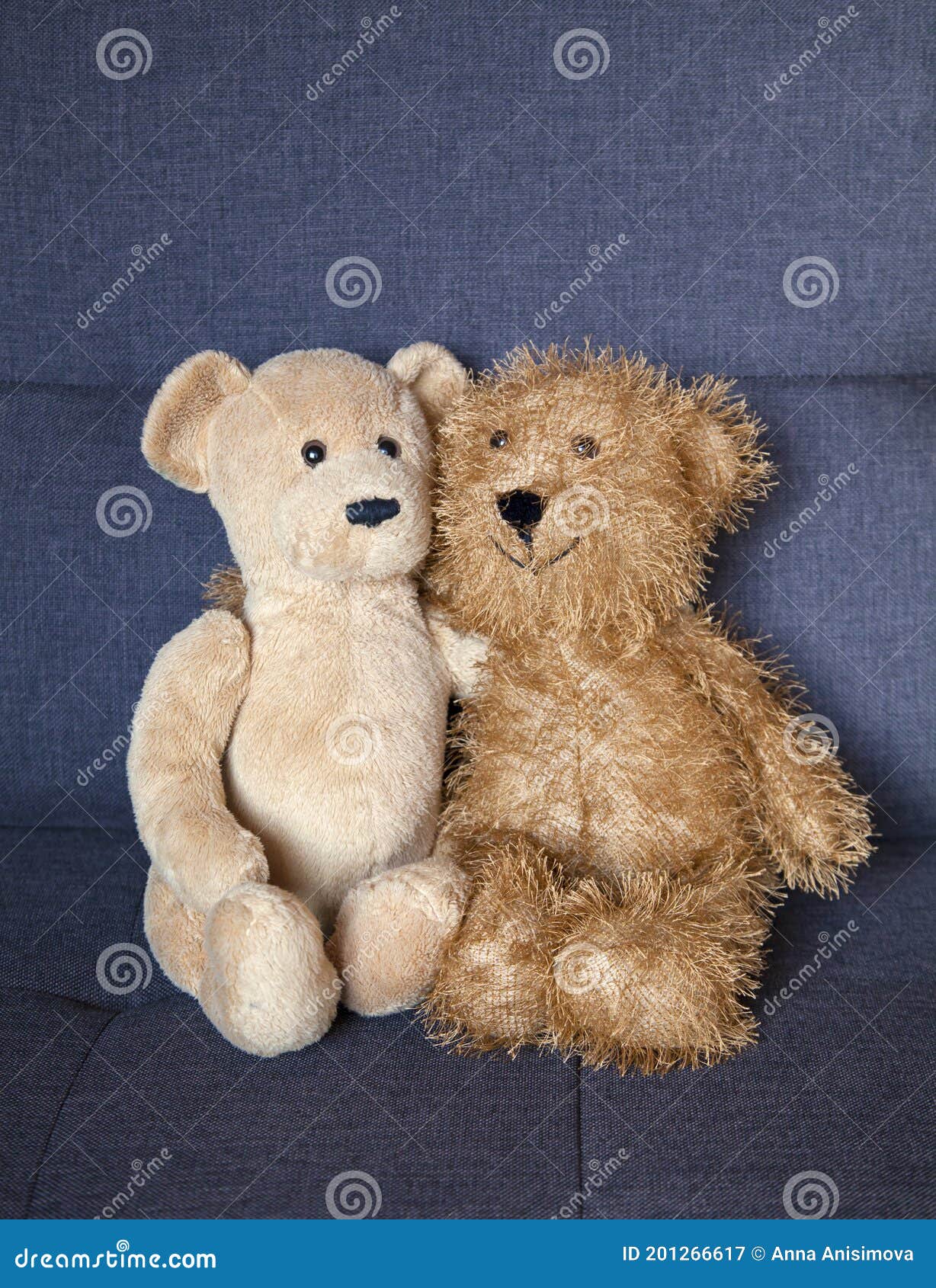 Two Different Teddy Bears Sitting on the Sofa Stock Image - Image of ...