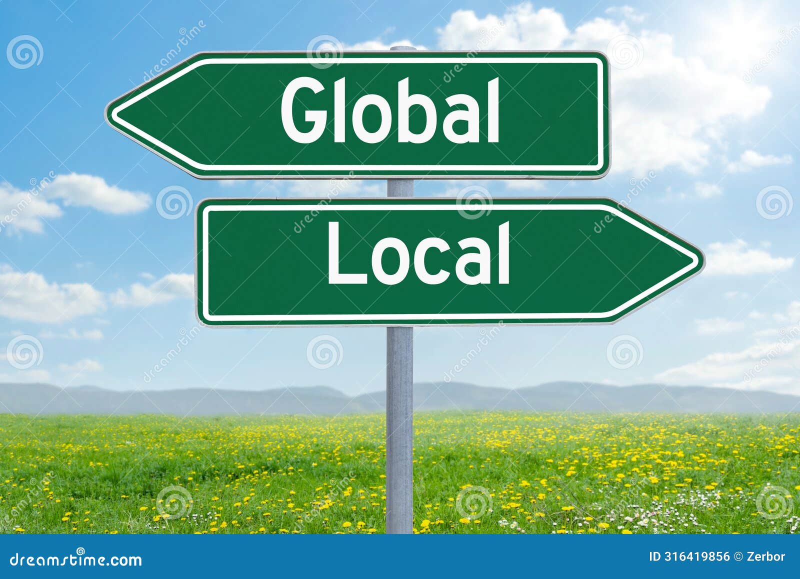 Global or Local stock photo. Image of roadsign, sign - 316419856