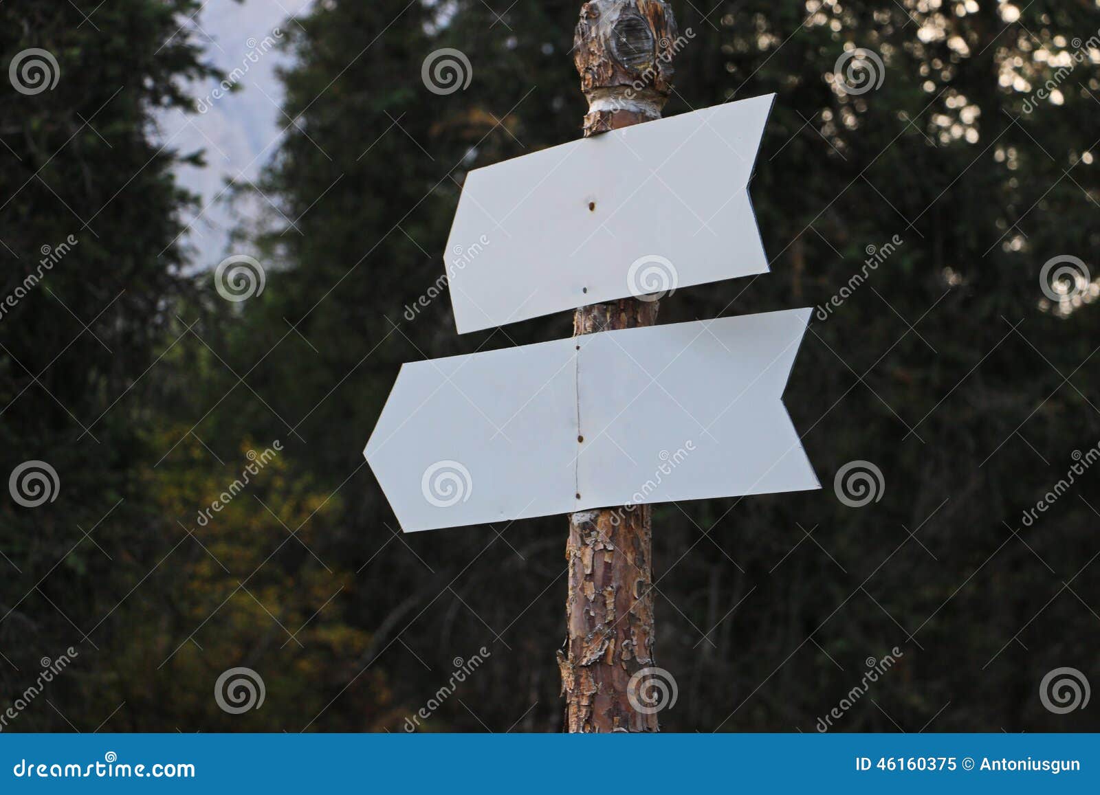 Two direction signs stock image. Image of clean, wooden - 46160375