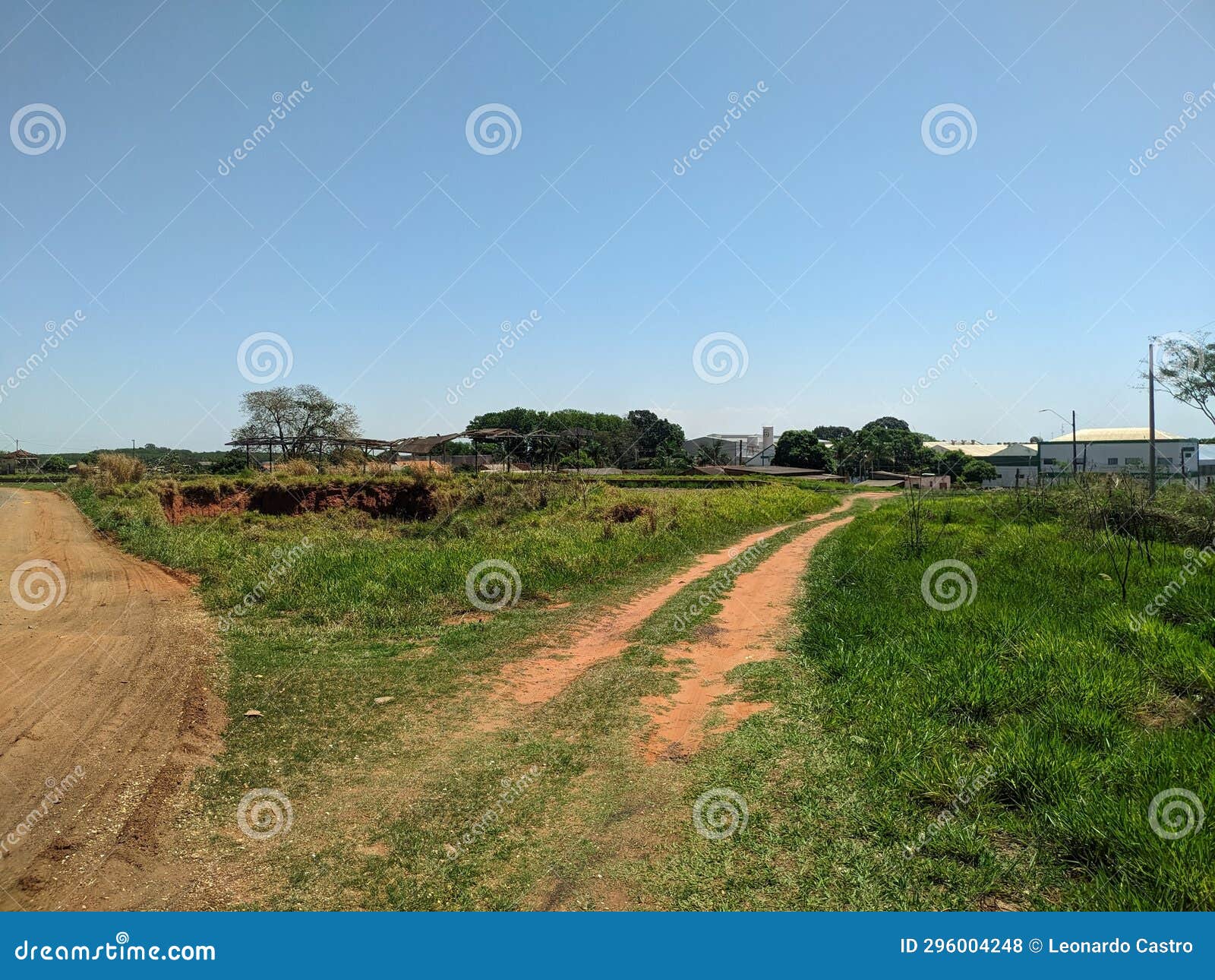 Two dirt and grass paths stock photo. Image of green - 296004248