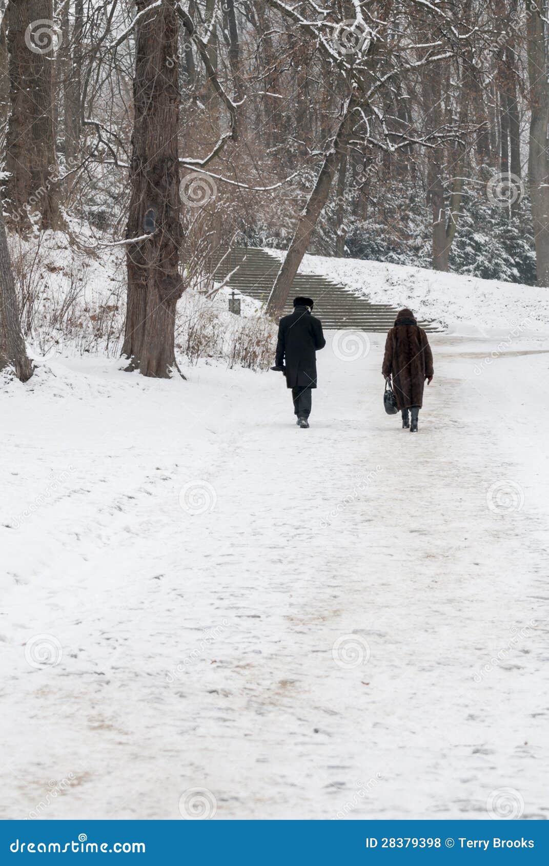 Two Distant People Walking in Snowy Park. Stock Photo - Image of ...