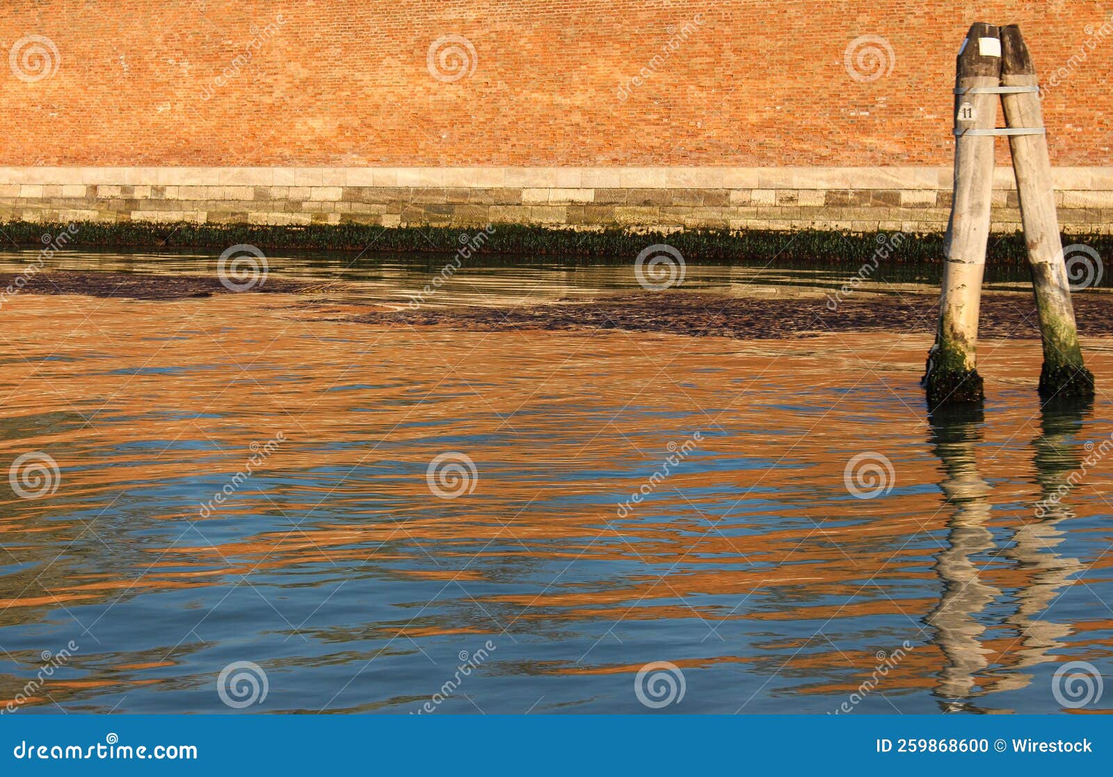 Docks Tied Together in a Lake Stock Photo - Image of summer, rural ...