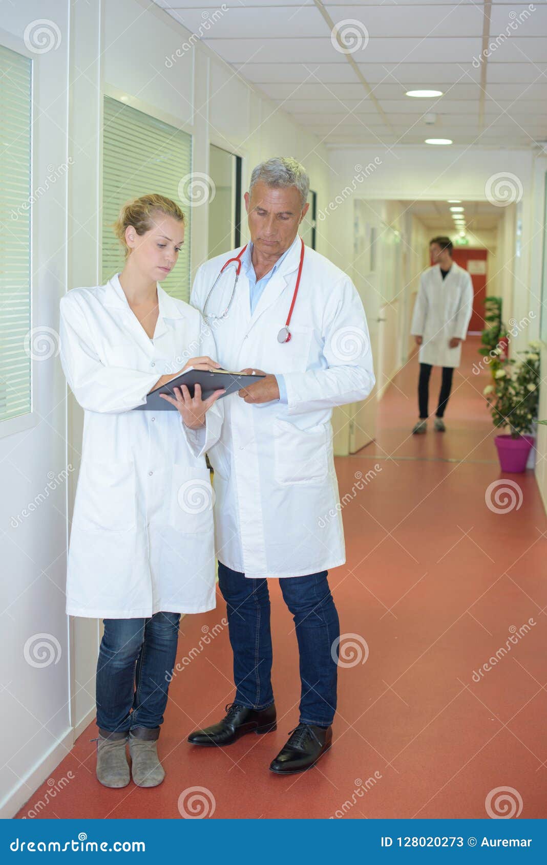 Two Doctors in Discussion in Hospital Corridor Stock Image - Image of ...