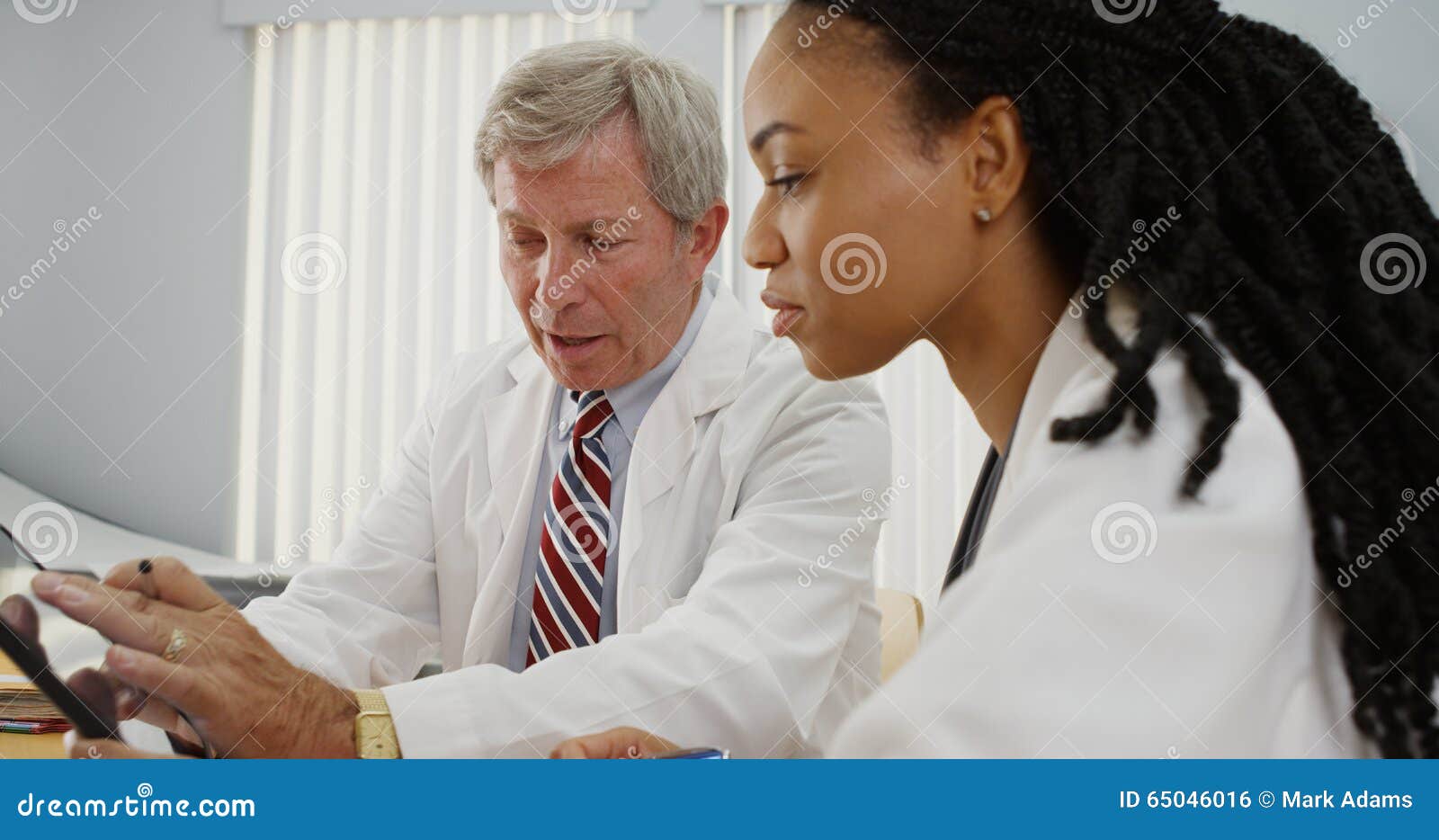 Two Doctors Working Together Stock Photo - Image of hospital, doctor ...