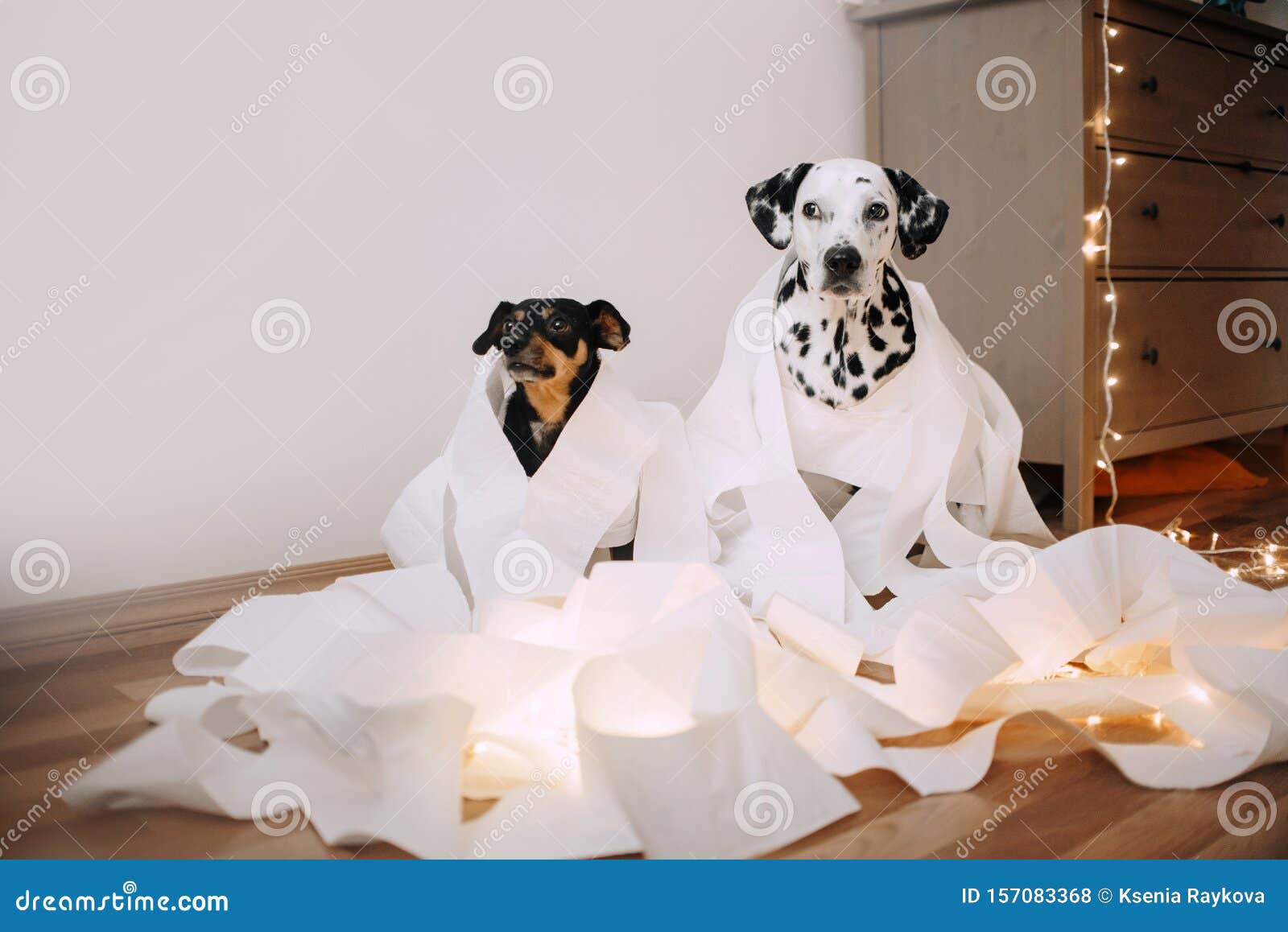 Two Dogs Made a Mess of Paper Stock Photo - Image of adult, little ...
