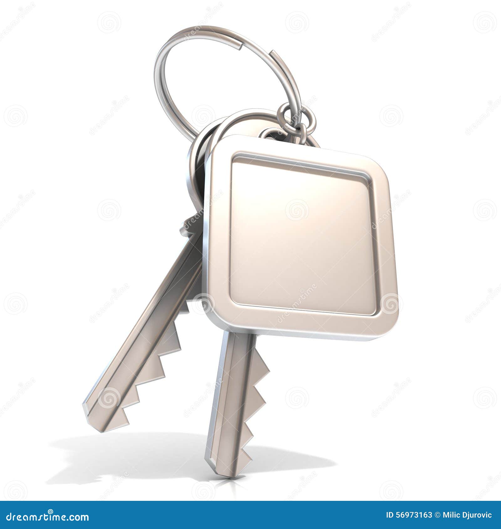 Keys With Label. Vector Illustration | CartoonDealer.com #14863692