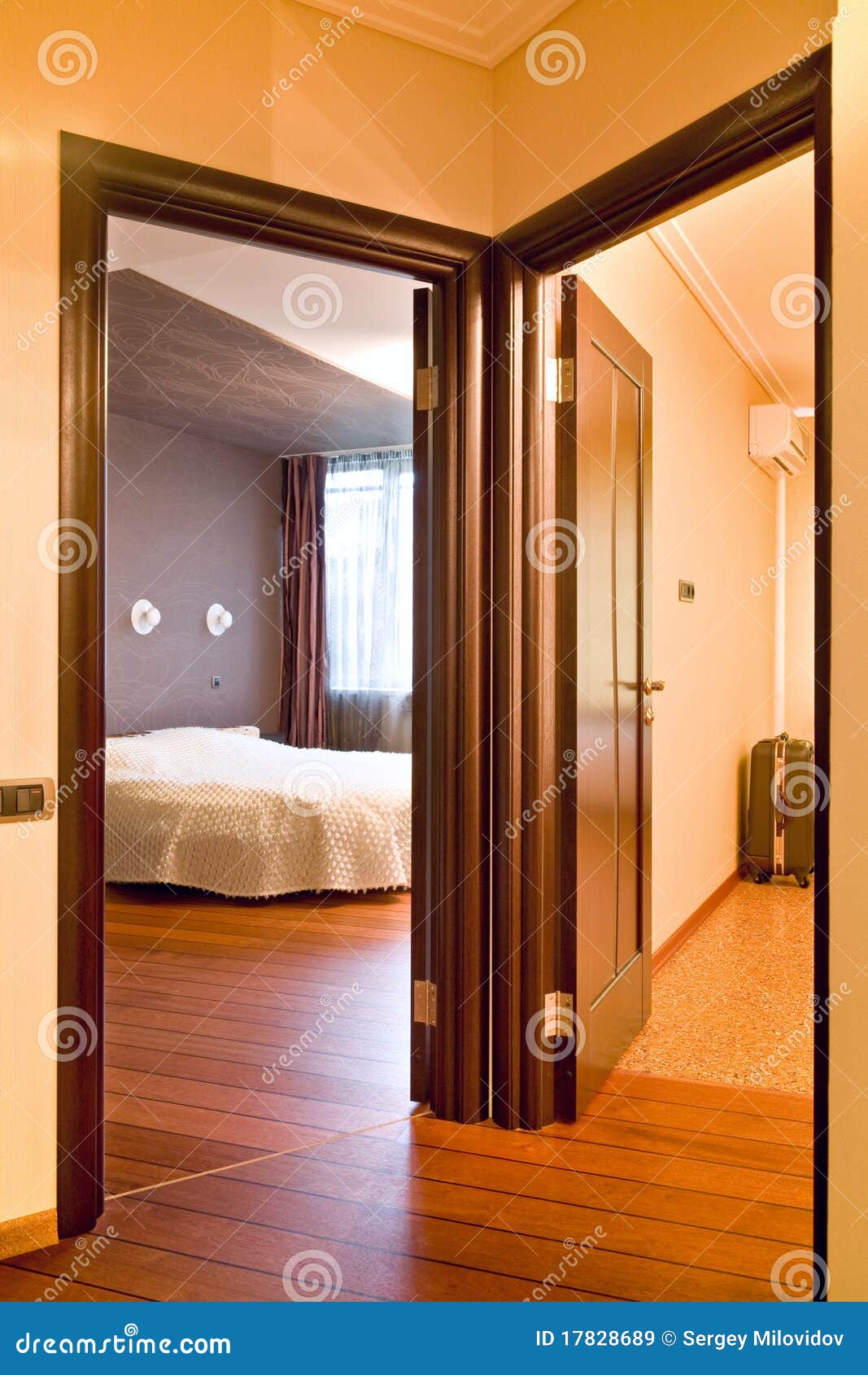 Two doors stock image. Image of textured, environment - 17828689