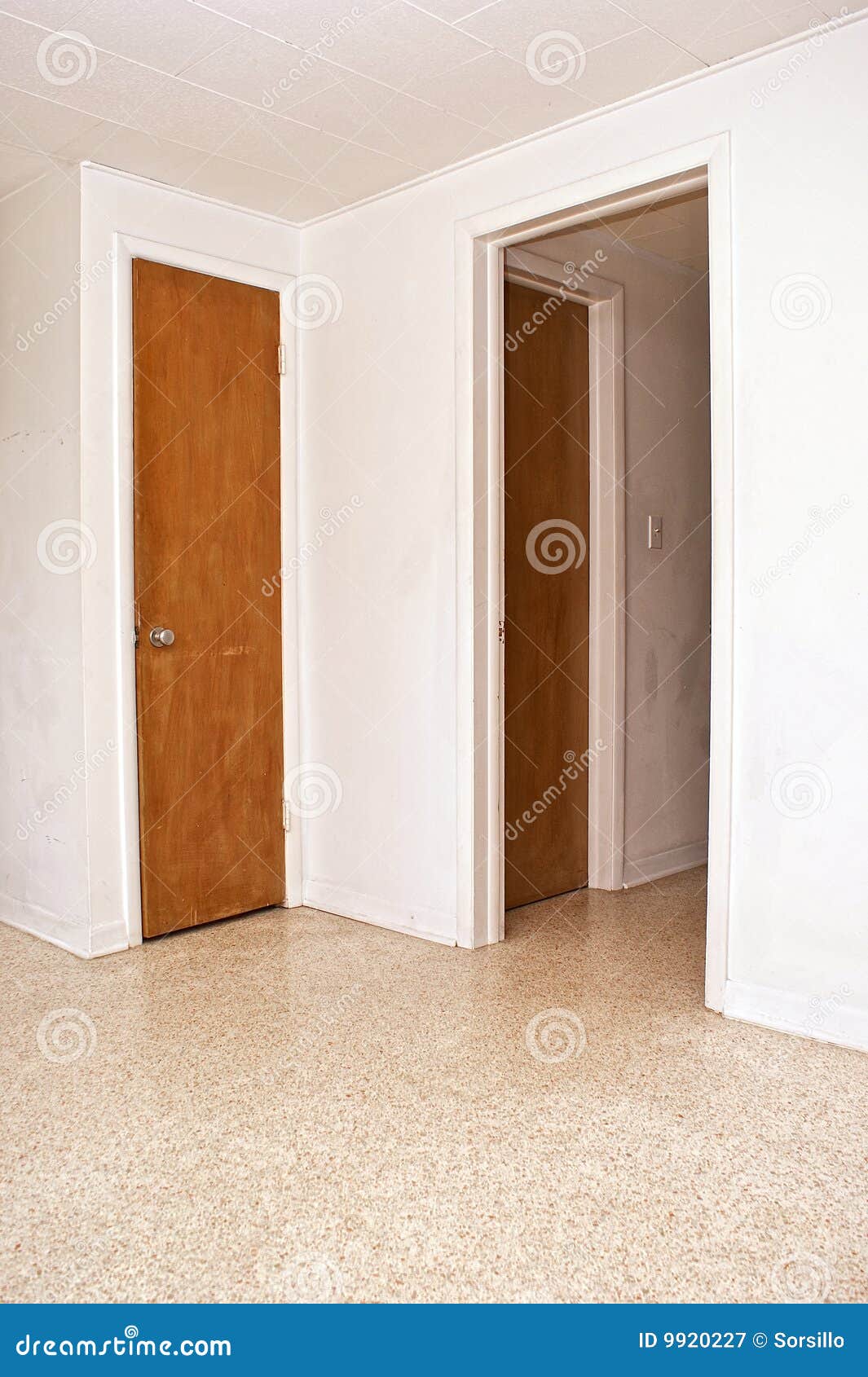 Two Doors and an Open Doorway Stock Image - Image of closed, rooms: 9920227