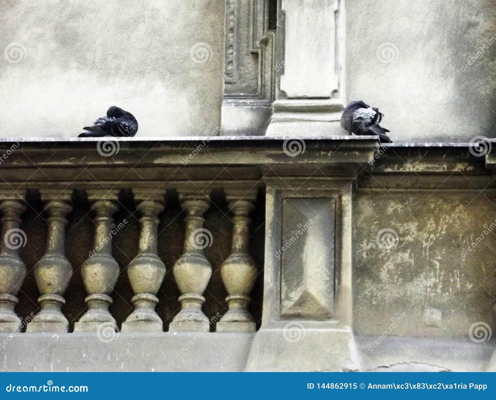 Two dove stock image. Image of prague, sleep, statue - 144862915