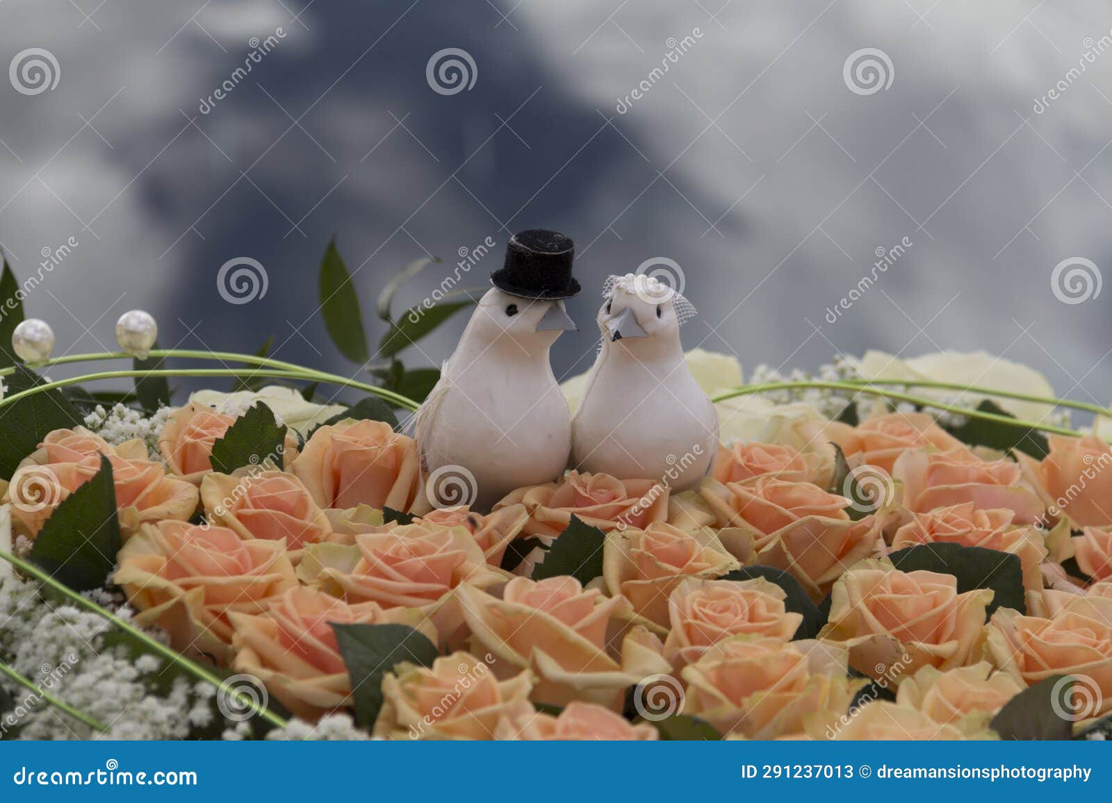 Two White Doves on a Bridal Bouqet Dressed As Bride and Bride Groom ...