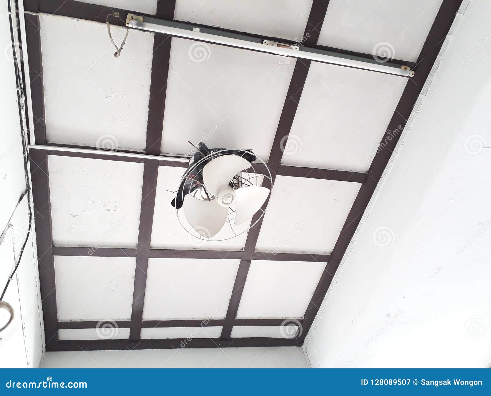 Two Doves, Nesting on a White Ceiling Fan Stock Image - Image of little ...