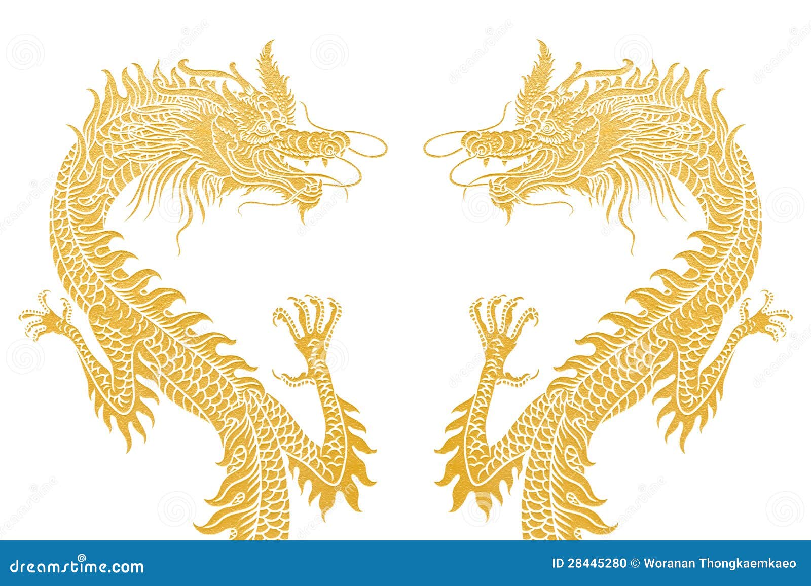 Two Dragons stock illustration. Illustration of dragon - 28445280