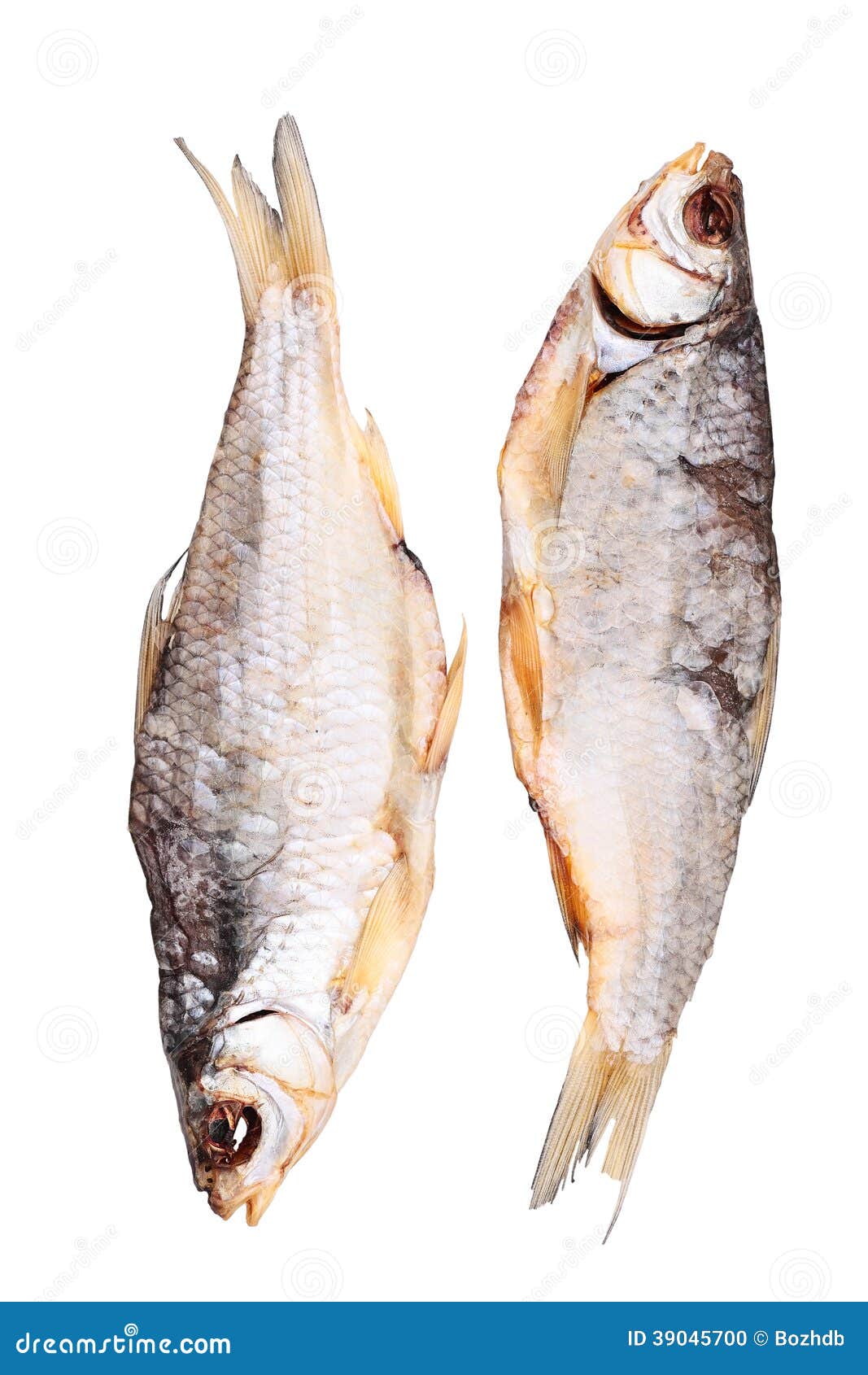 Two Dried Fishes Isolated on White Stock Photo - Image of eating, pair ...
