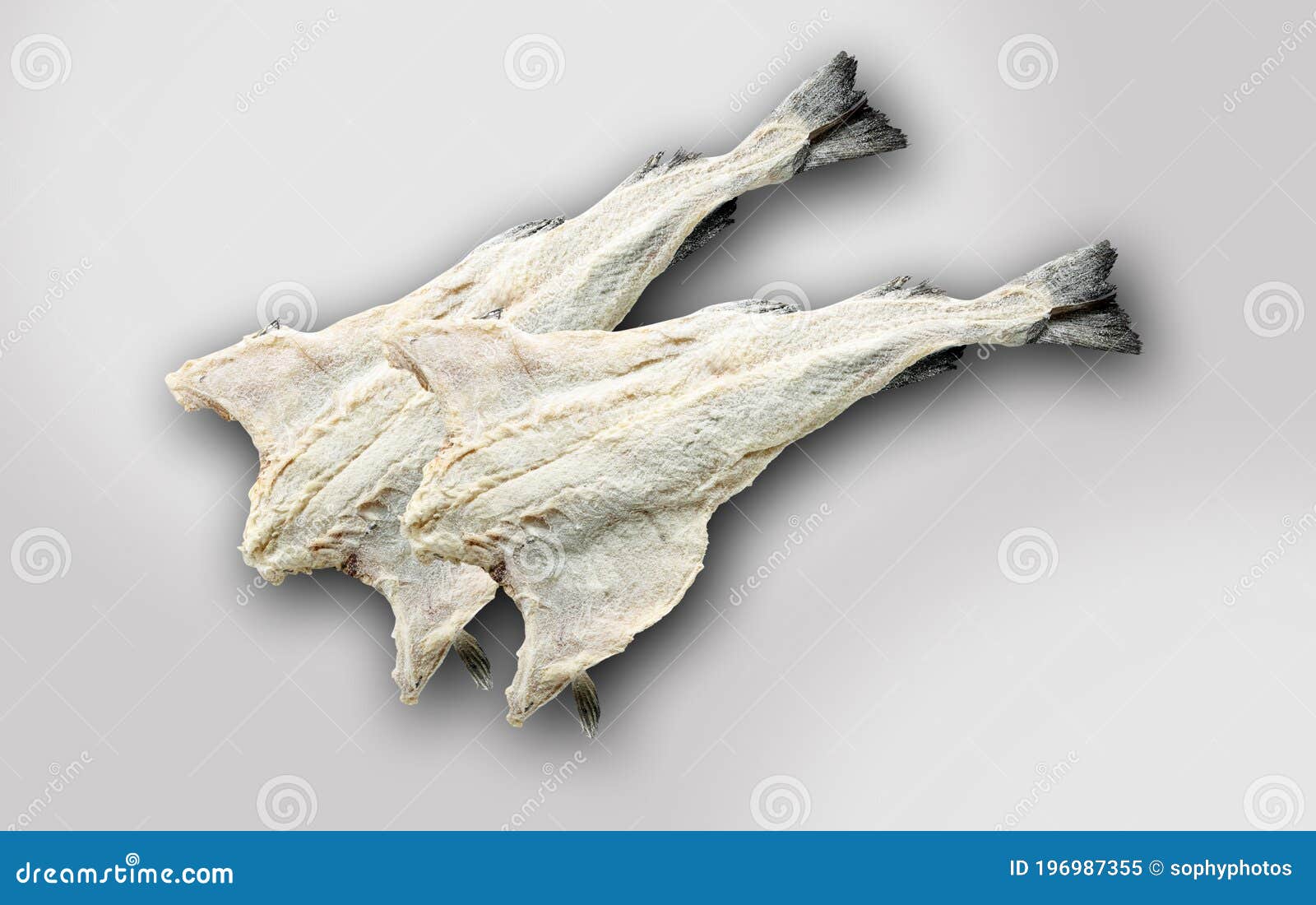 Two Dried Salted Codfish - in Portuguese. Stock Image - Image of ...