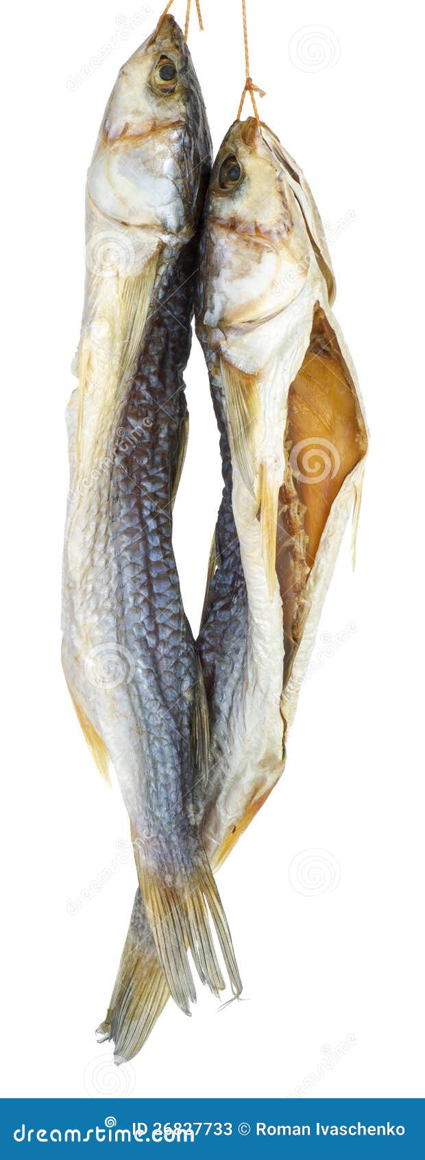 Two Dried Salted Grey Mullet Fishes Stock Image - Image of emboweled ...