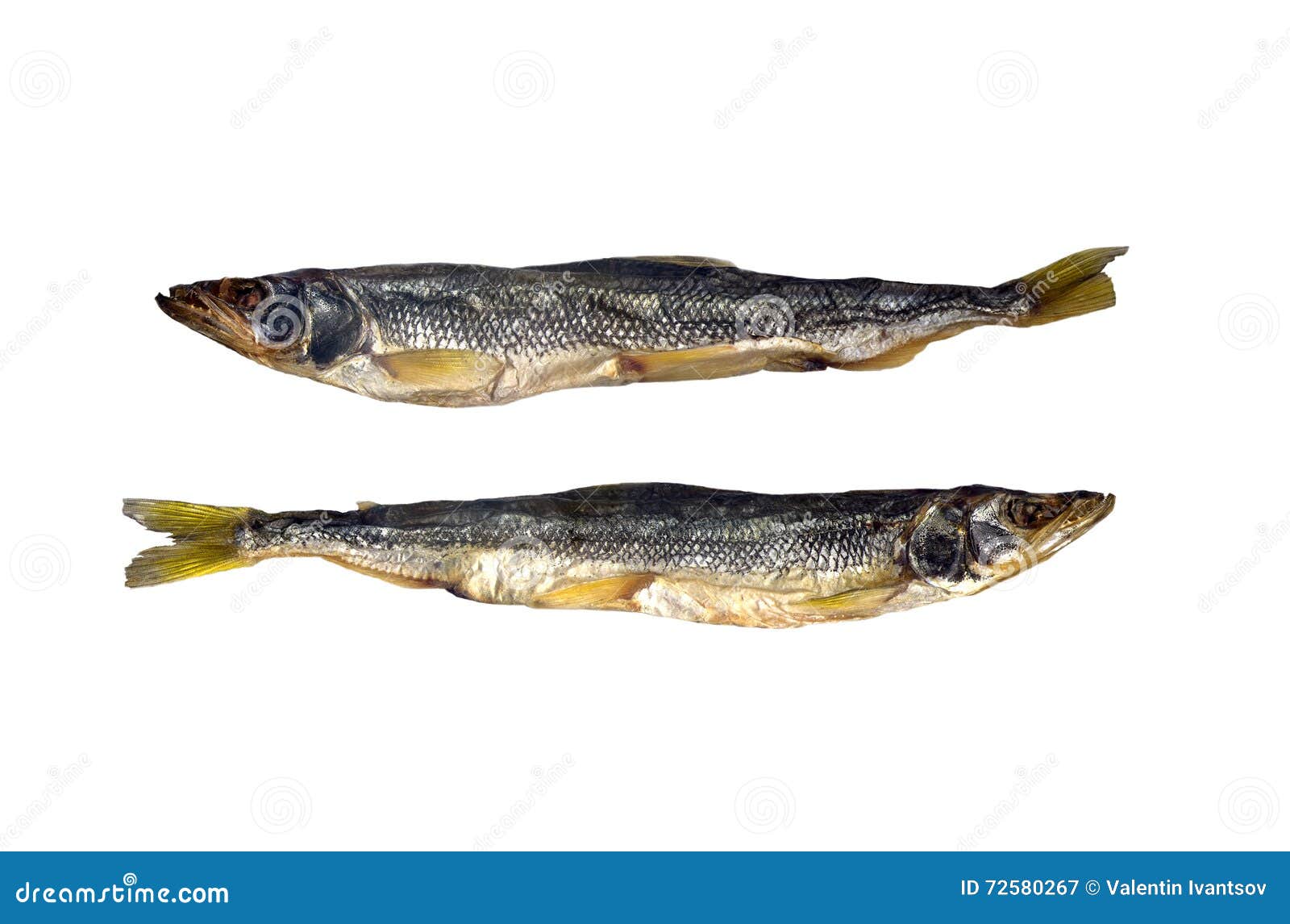 Two dried smelt stock image. Image of groceries, food - 72580267