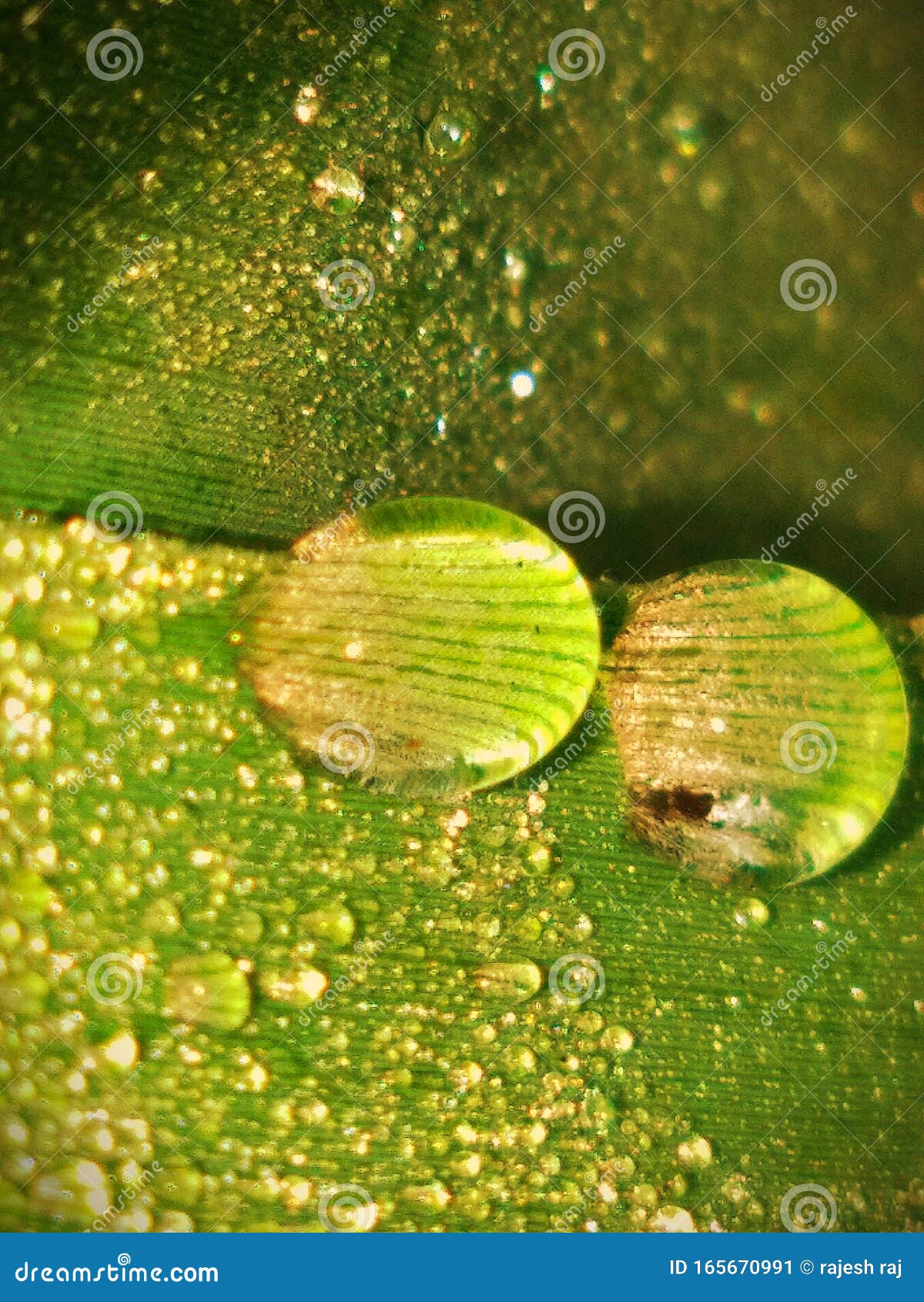 Two drops stock image. Image of water, dropshd, drops - 165670991