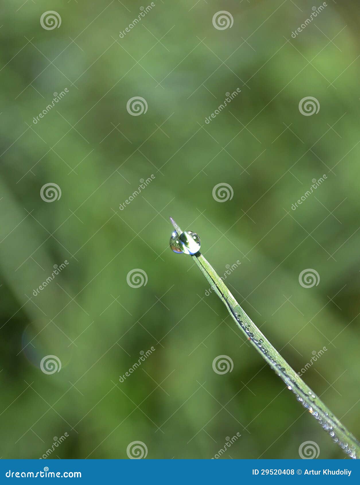 Two drops at blade stock photo. Image of freshness, blade - 29520408