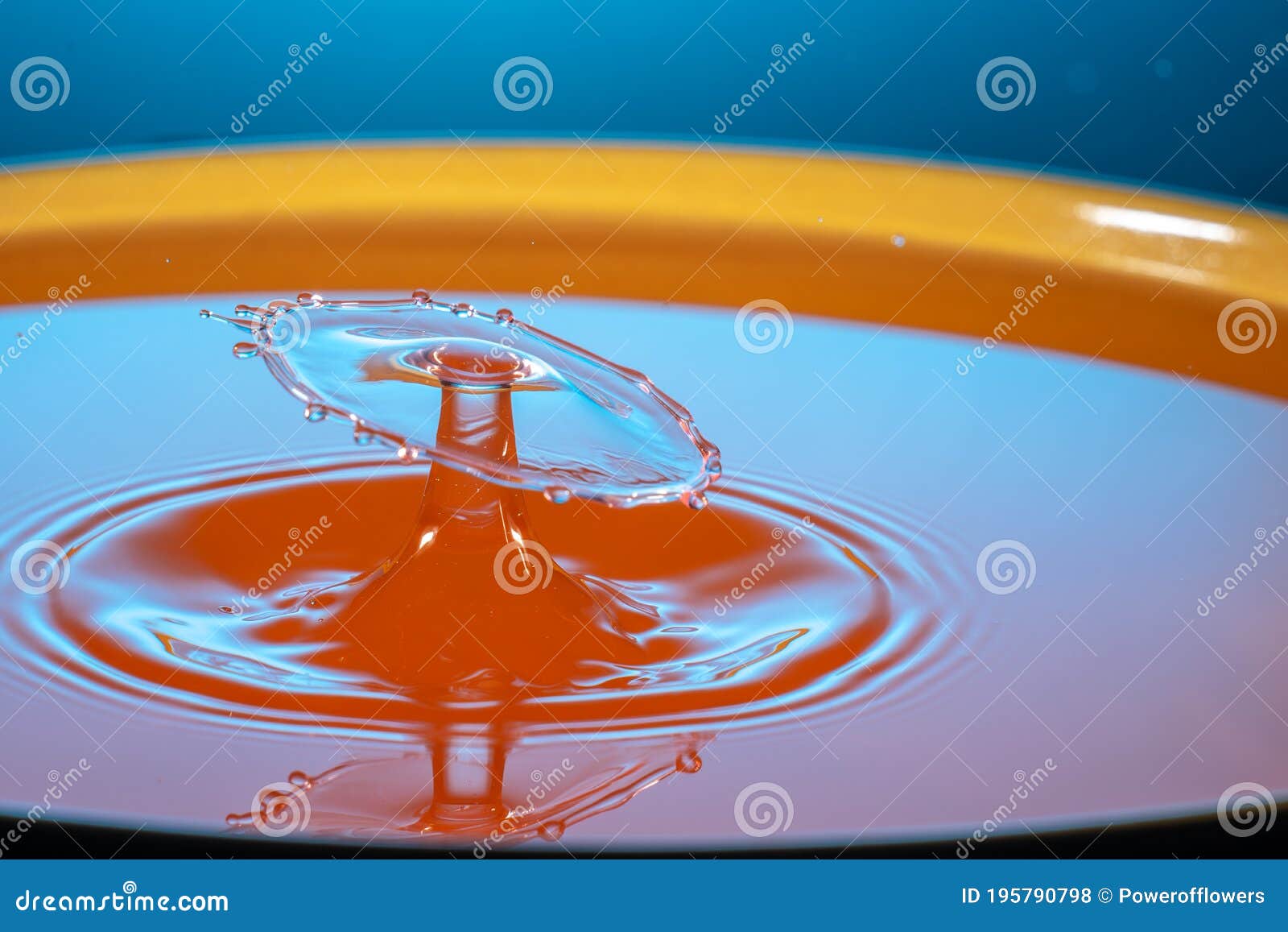 Two Drops of Orange Liquid Fall into the Cup Hitting Each Other Then ...