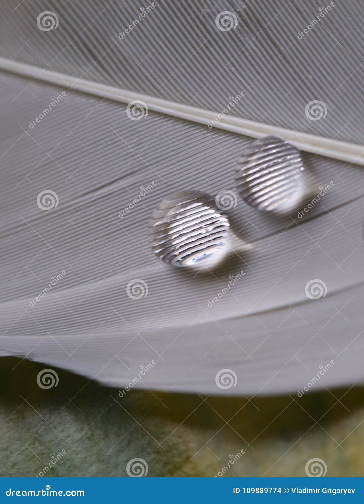 Two drops stock photo. Image of water, drops, closeup - 109889774