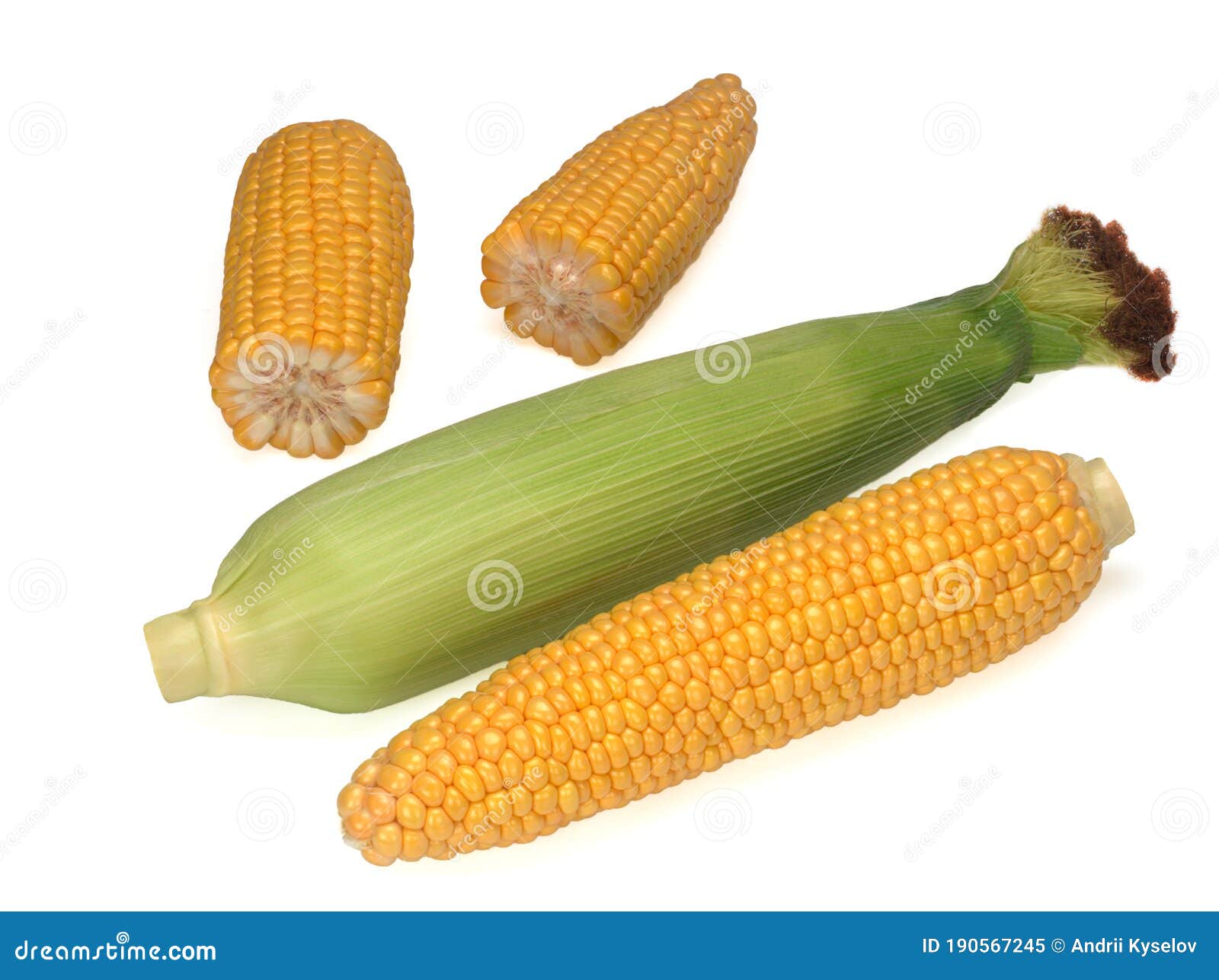 Two Ears of Corn and Two Its Pieces Isolated on White Background Stock ...
