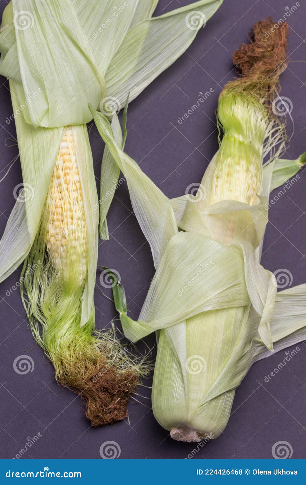 Two Ears of Corn with Leaves and Silky Threads on Black Stock Photo ...