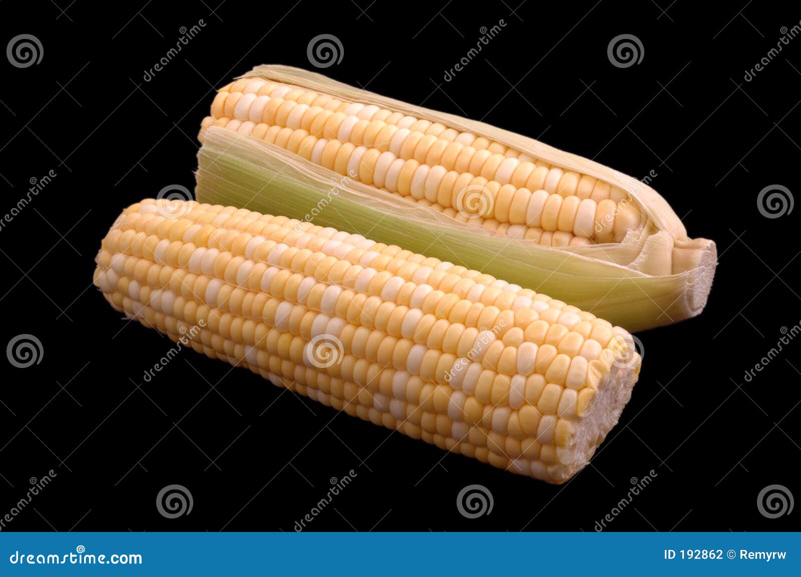 Two Ears of Corn Over Black Stock Photo - Image of husk, fresh: 192862