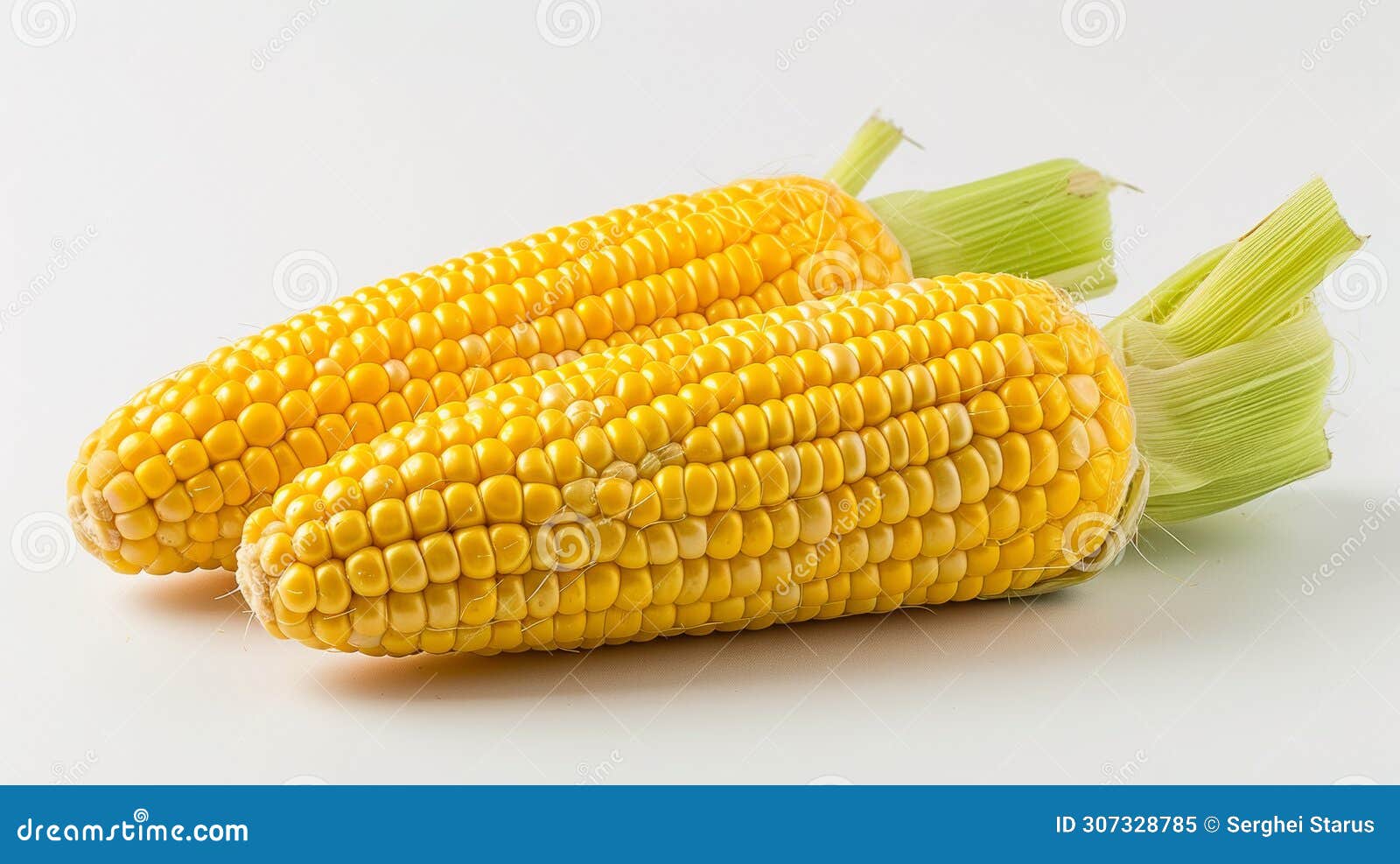Two Ears of Corn on a White Surface with One Ear Cut Off, AI Stock ...