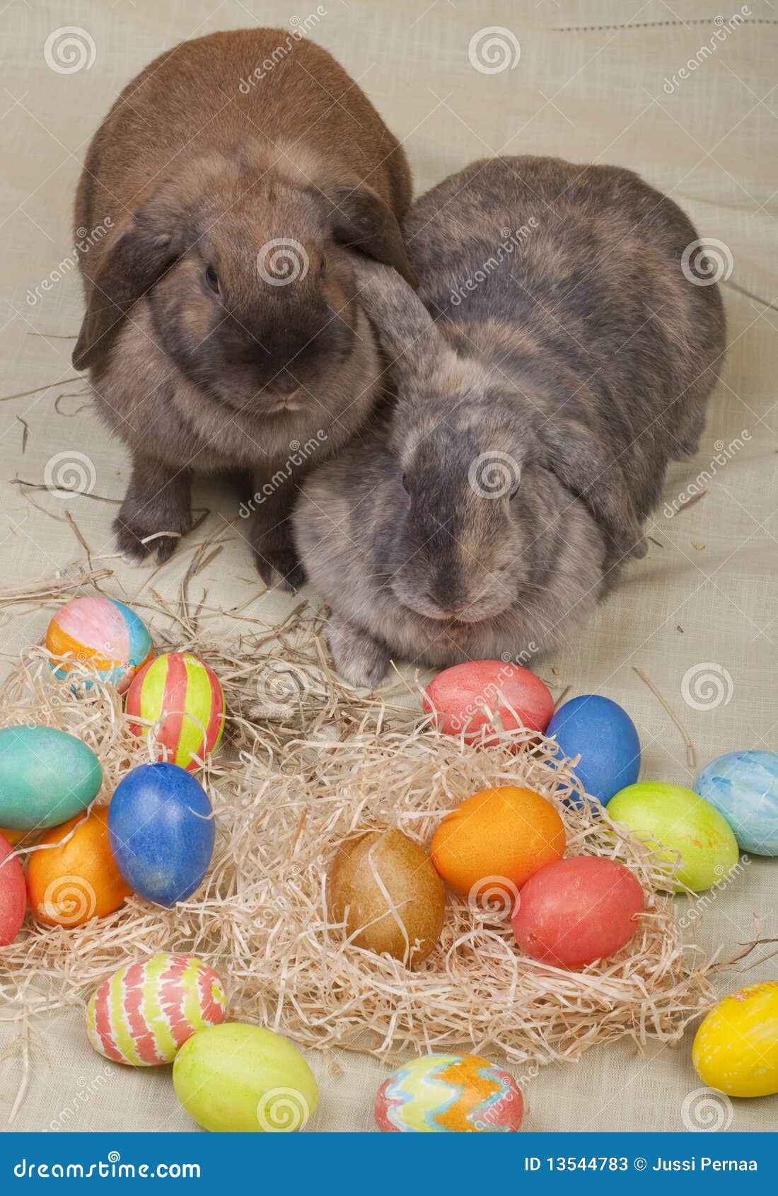 Two Easter Bunnies. stock image. Image of hare, animal - 13544783