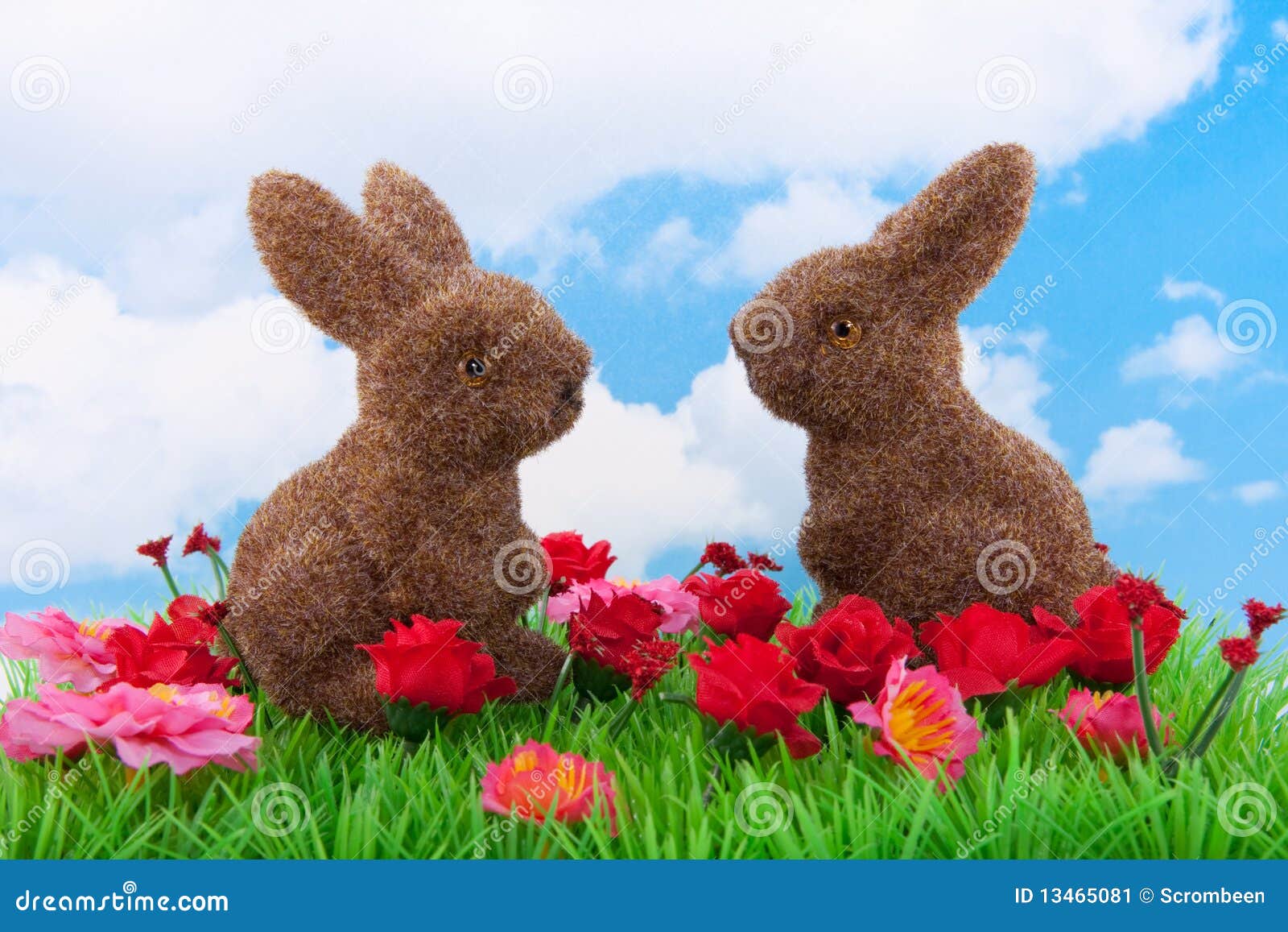 Two Easter Bunnies on a Green Lawn Stock Image - Image of roses, nature ...