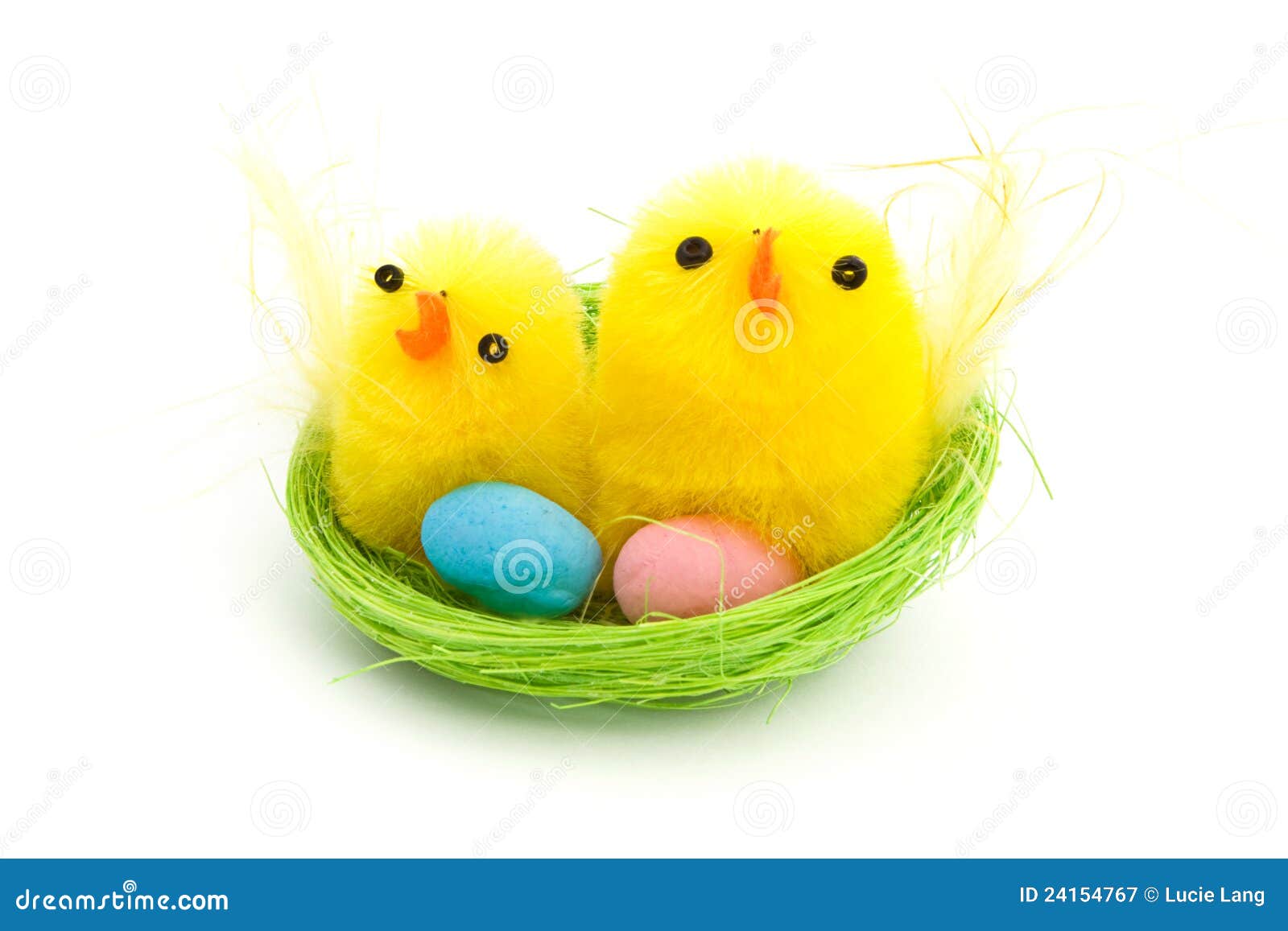 Two Easter Chicks in a Nest Stock Image - Image of chicken, fluffy ...
