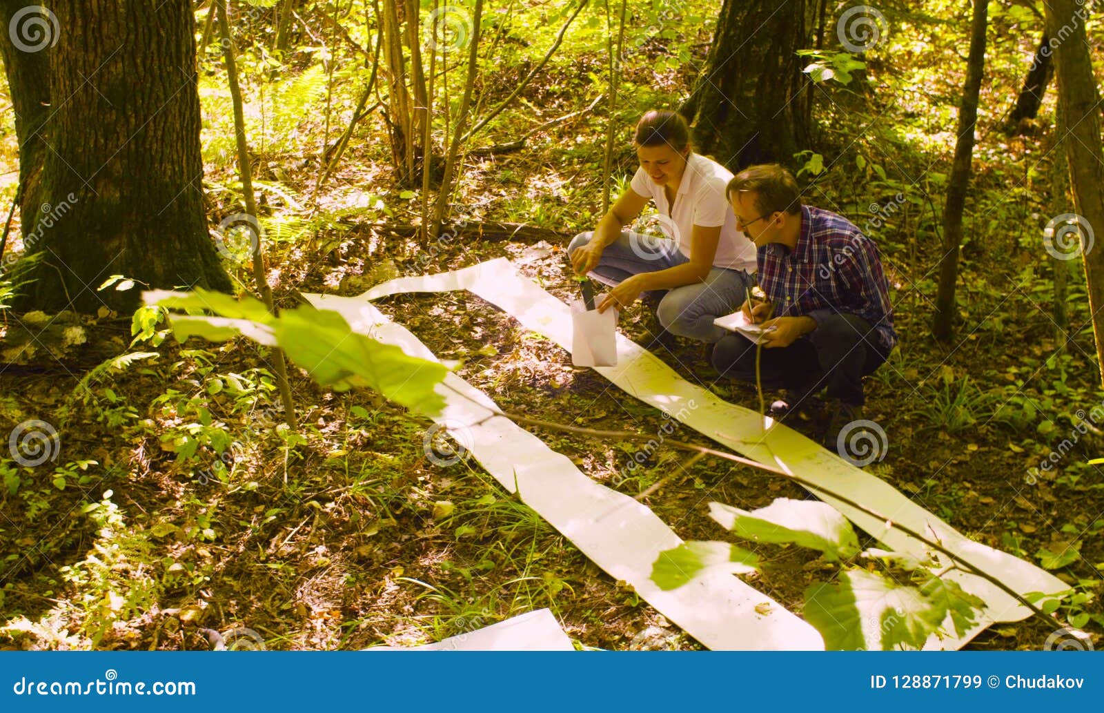 Two Ecologist Getting Samples of Soil in the Forest Stock Image - Image ...