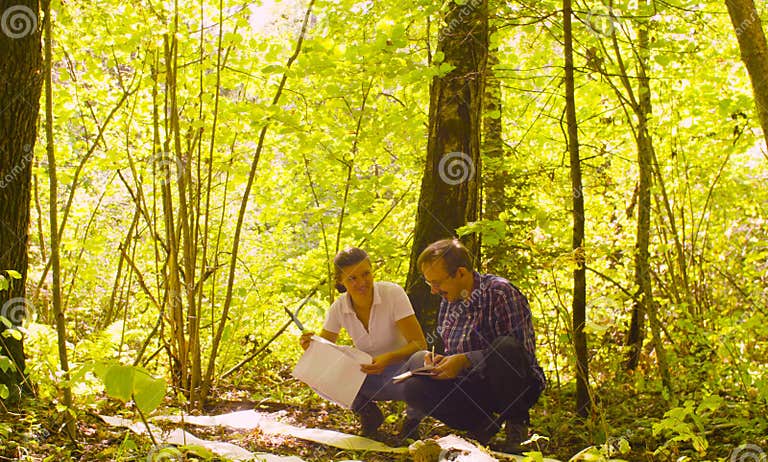 Two Ecologist Getting Samples of Soil in the Forest Stock Image - Image ...