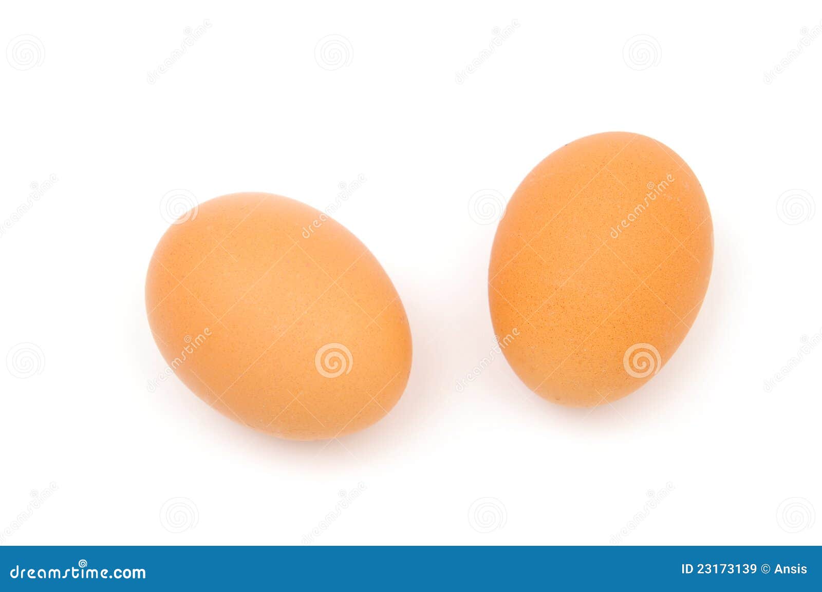 Two eggs stock image. Image of growing, fertility, natural - 23173139