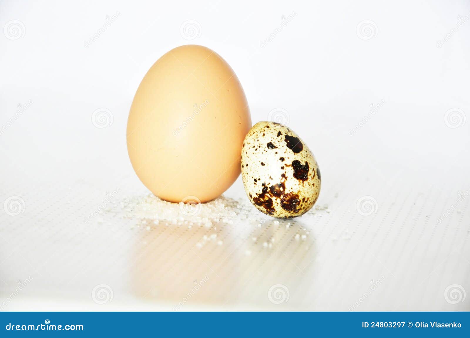 Two eggs stock image. Image of life, upright, eggshaped - 24803297