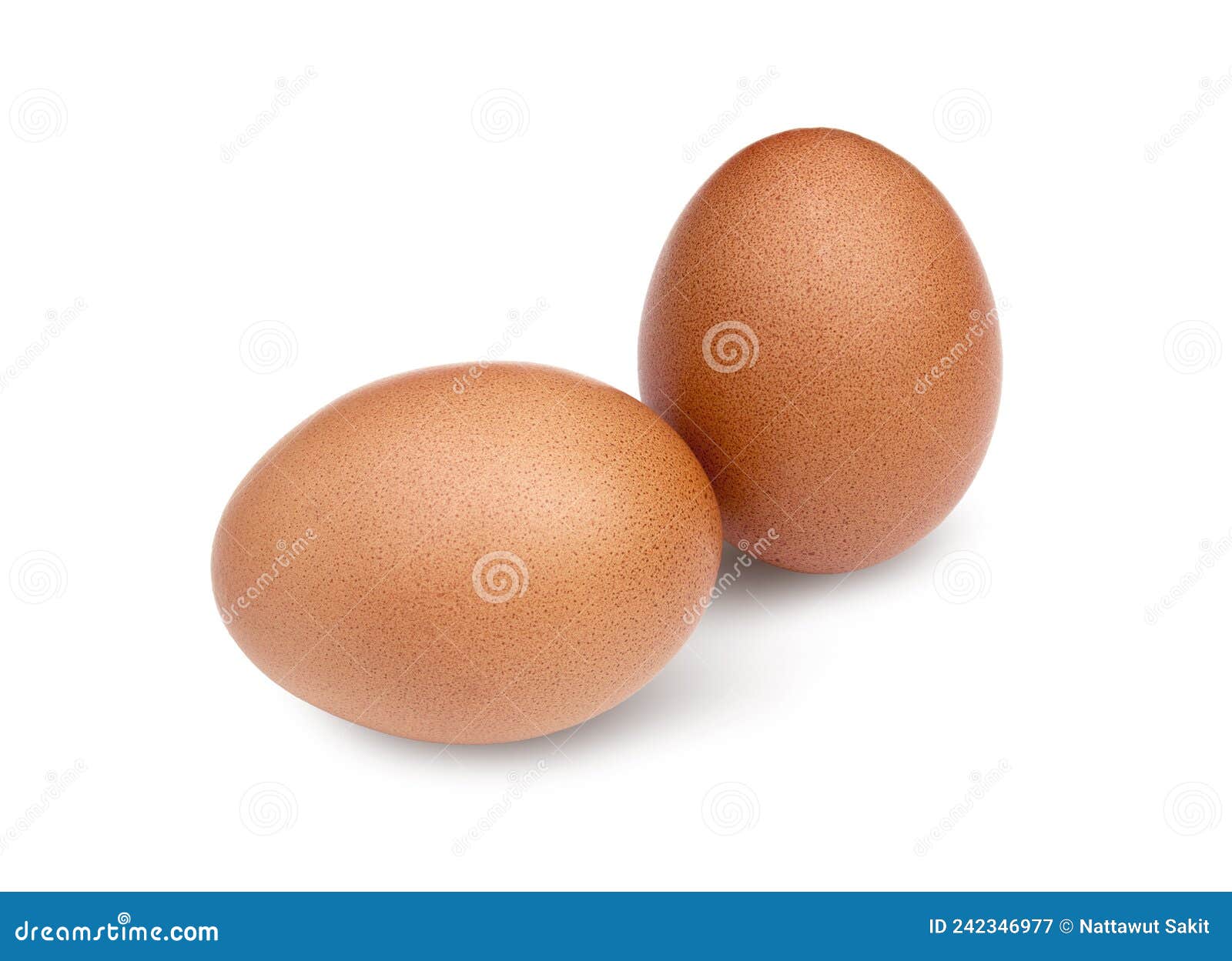 Two Eggs Isolated on White Background with Clipping Paths for Graphic ...