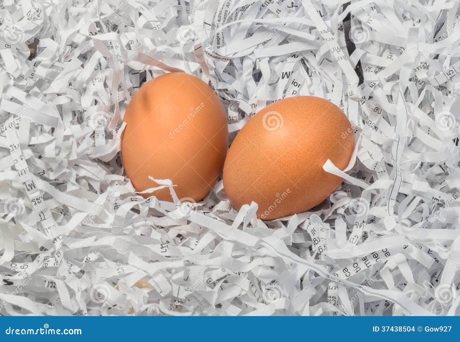 Two Eggs in the Pile of Torn Paper Bits Stock Photo - Image of nutrient ...