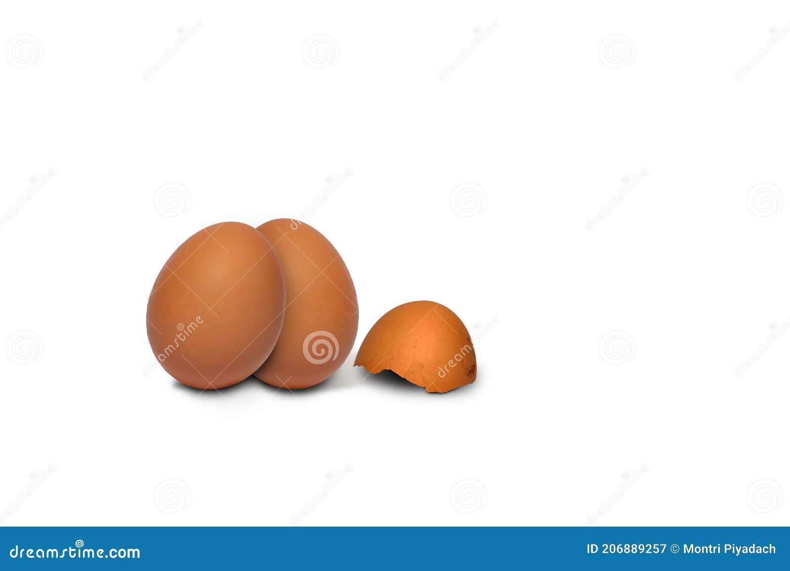 Two Eggs are Placed Close To the Inverted Eggshell Separately Stock ...