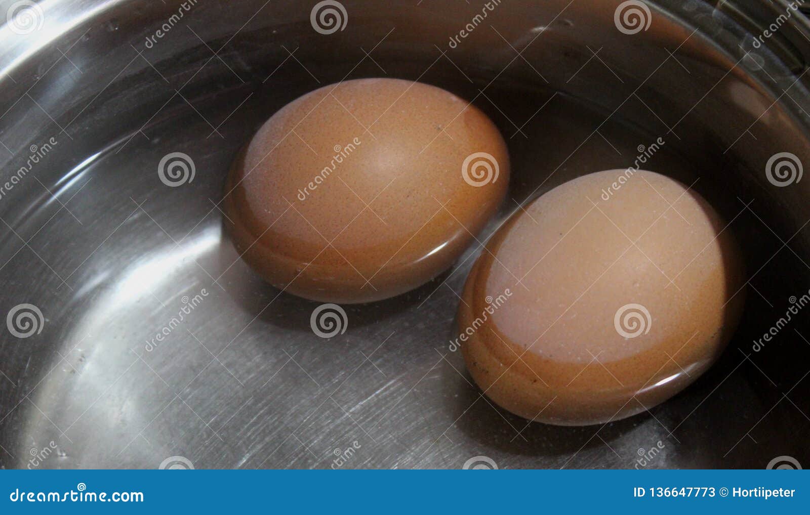 Two Eggs with Shell in Water are Ready for Cooking Stock Image - Image ...