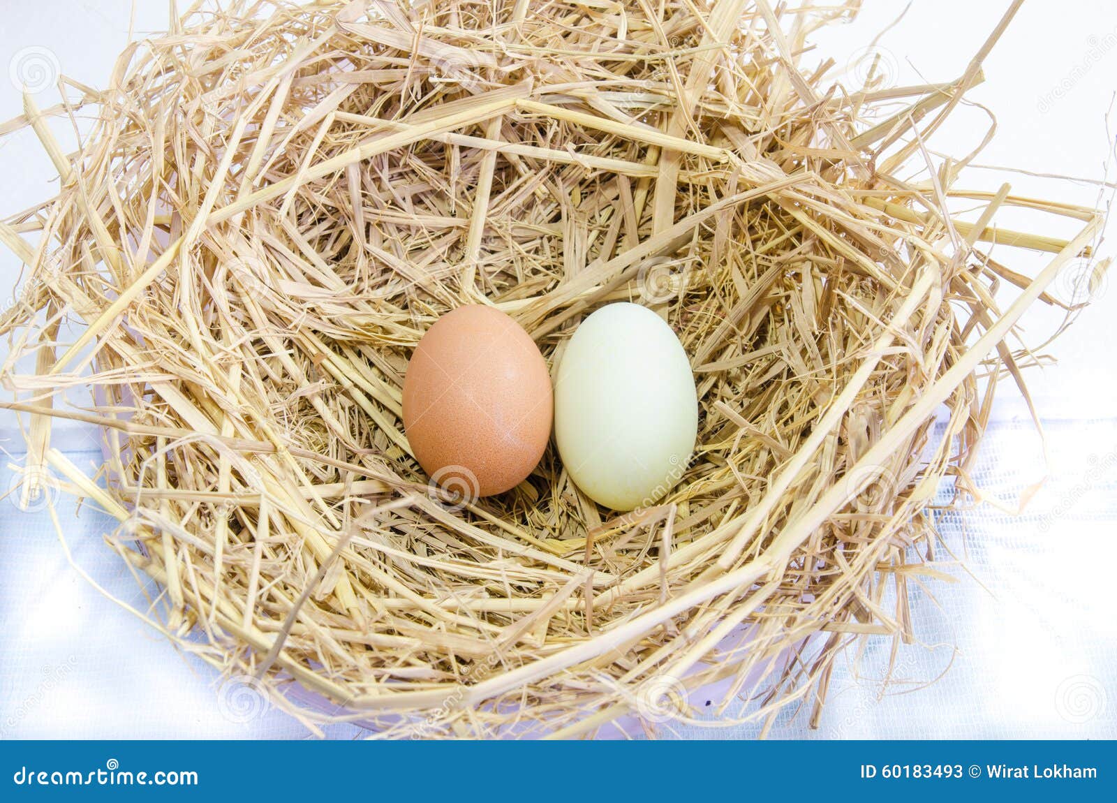 Two eggs Top view stock image. Image of shell, fresh - 60183493