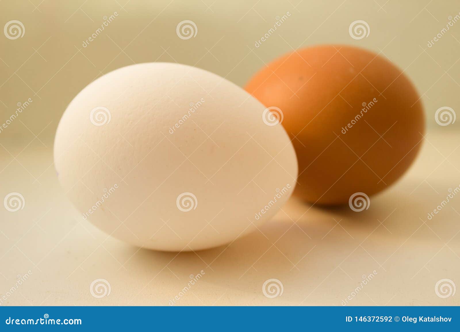 Two Eggs on White Background in Warm Colors Stock Photo - Image of ...