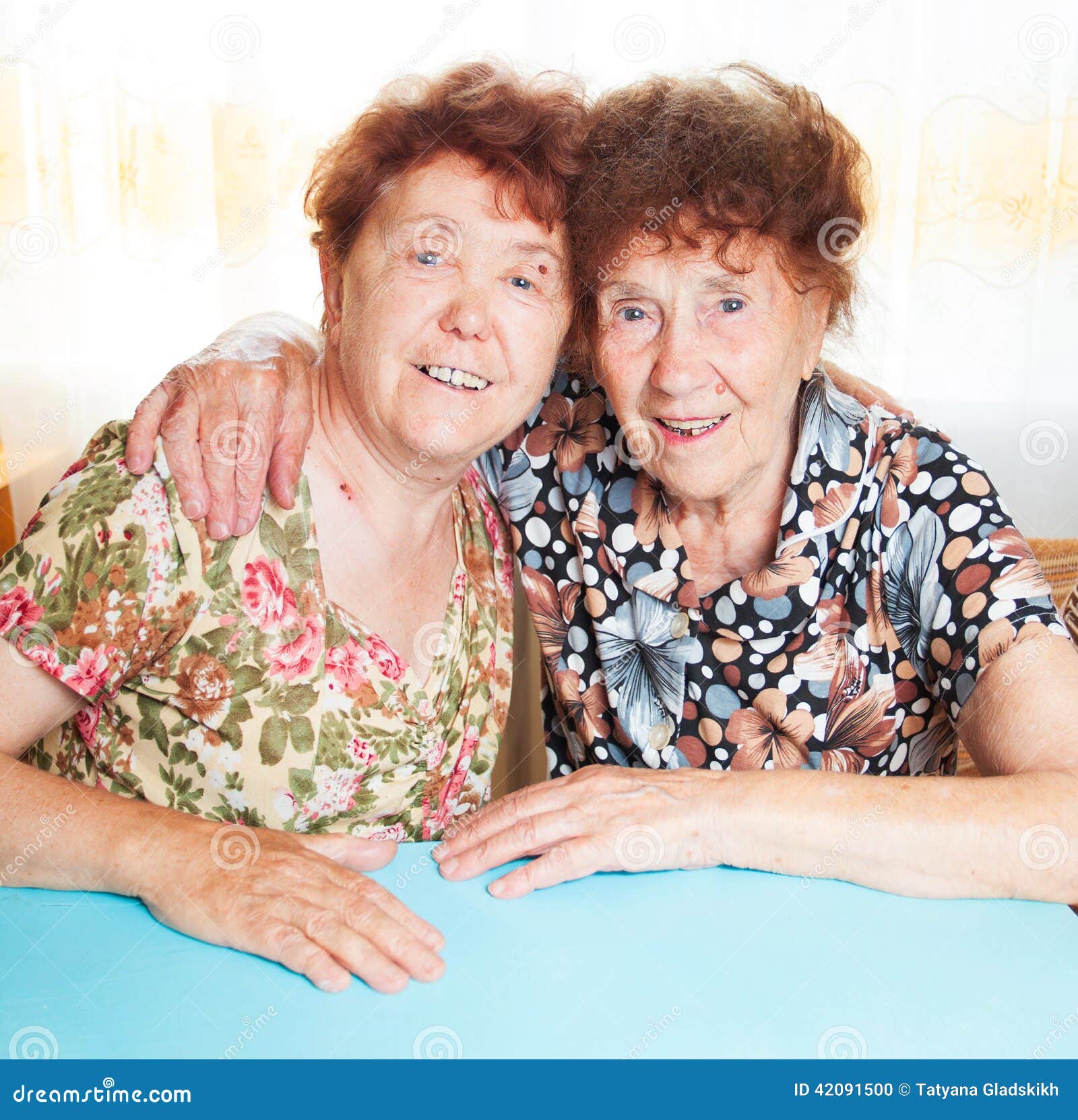 Two elderly women stock photo. Image of daughter, female - 42091500