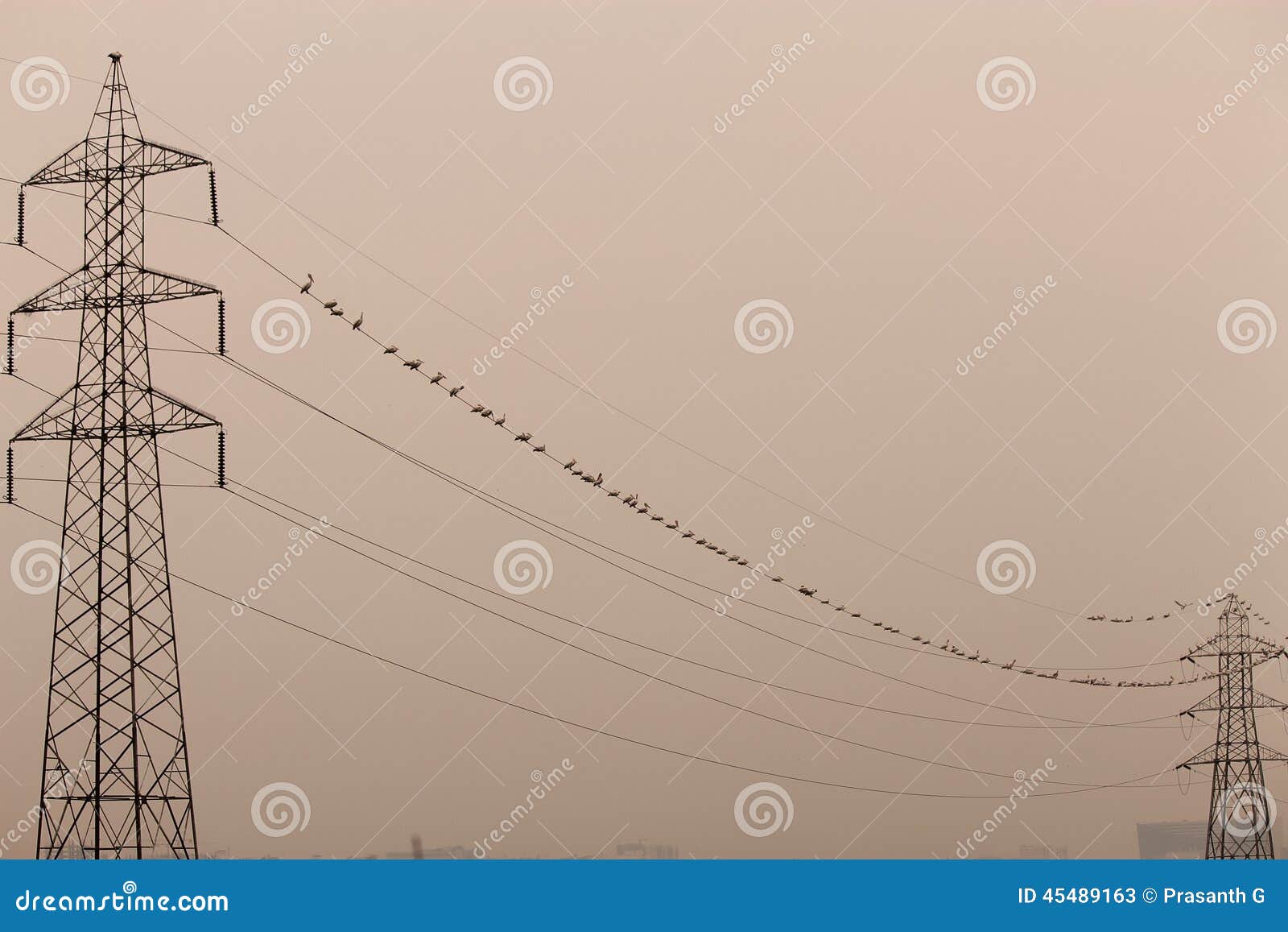Two Electric Tower Connected by Birds Stock Image - Image of link ...